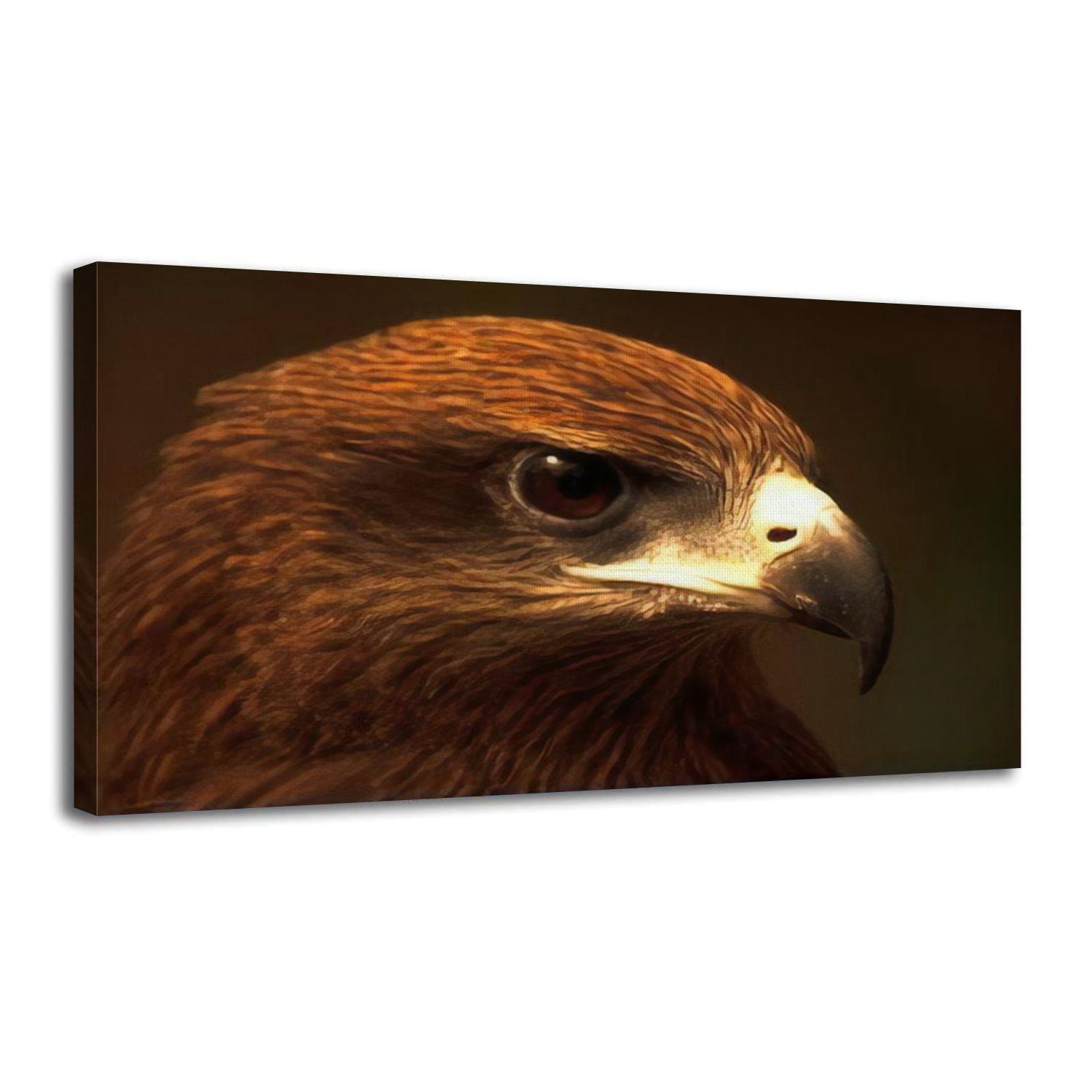 Canvas Wall Art Red Hawk Wall Decor for Living Room Bathroom Bedroom ...