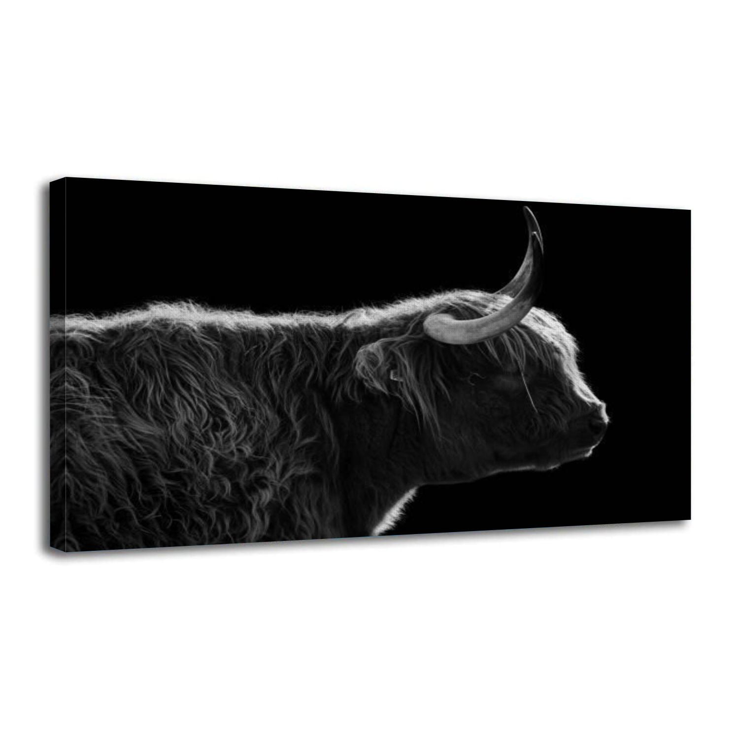 Canvas Wall Art Side view horned Highland cow sunshine black Wall Decor ...