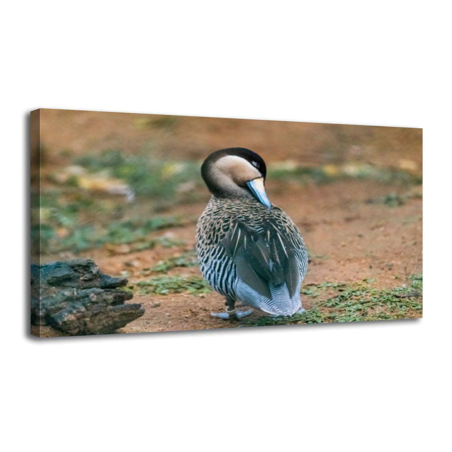 Canvas Wall Art Silver Teal Duck cleans its feathers view from back ...