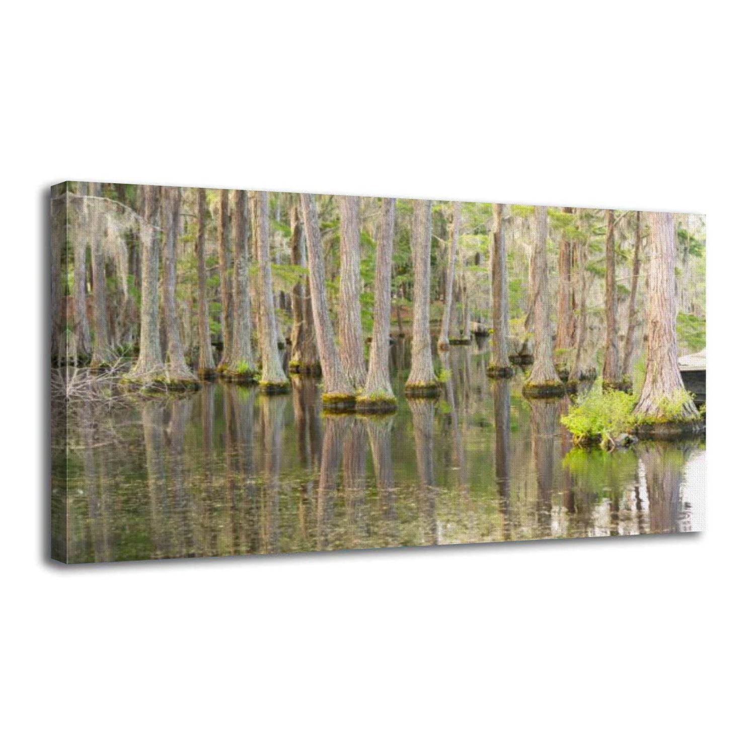 Canvas Wall Art Smooth Water Reflects Cypress Trees Swamp Marsh Lake ...