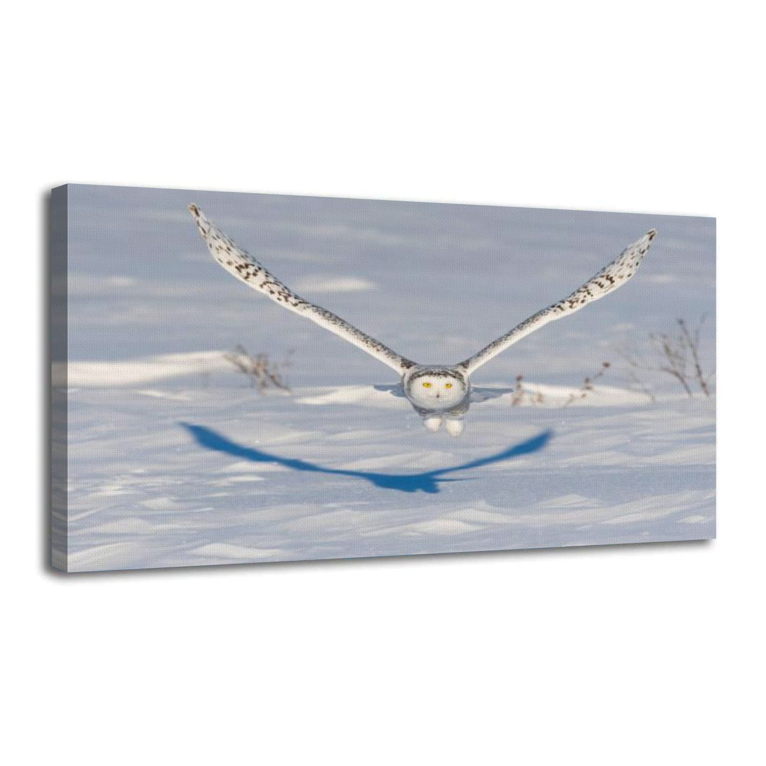 Canvas Wall Art Snowy owl bubo scandiacus bird flight Wall Decor for Living Room Bathroom ...