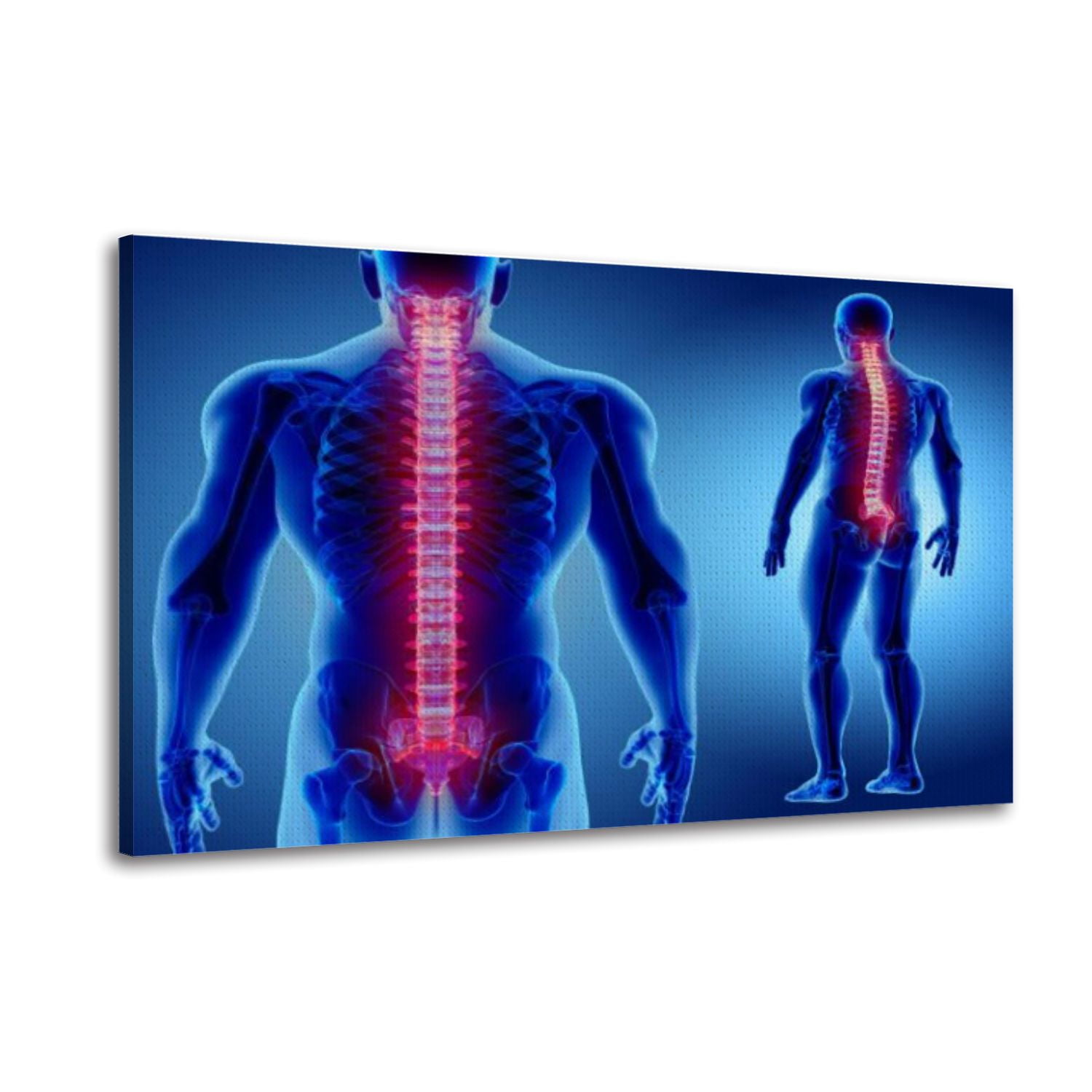 Canvas Wall Art Spine medical Wall Decor for Living Room Bathroom ...