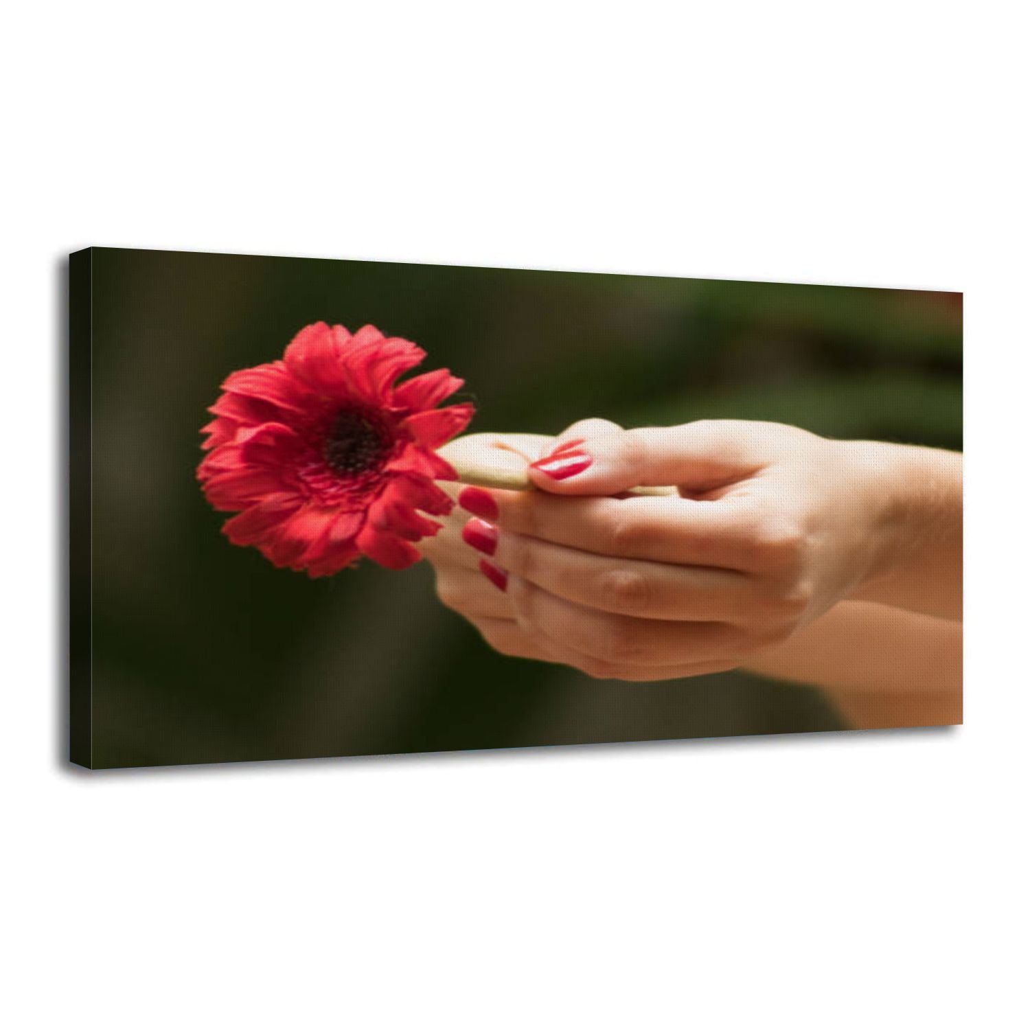 Canvas Wall Art Spring time Hand woman giving beautiful red flower Wall ...
