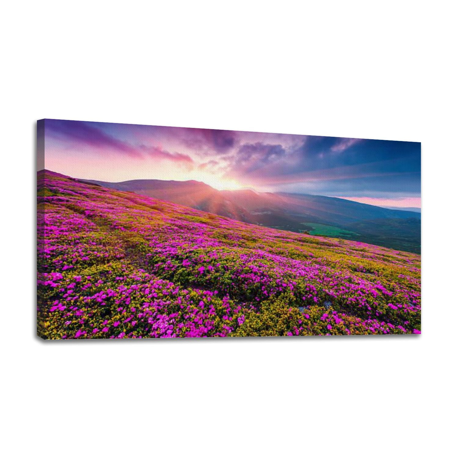 Canvas Wall Art Summer morning scene Carpathian mountains photo Wall ...