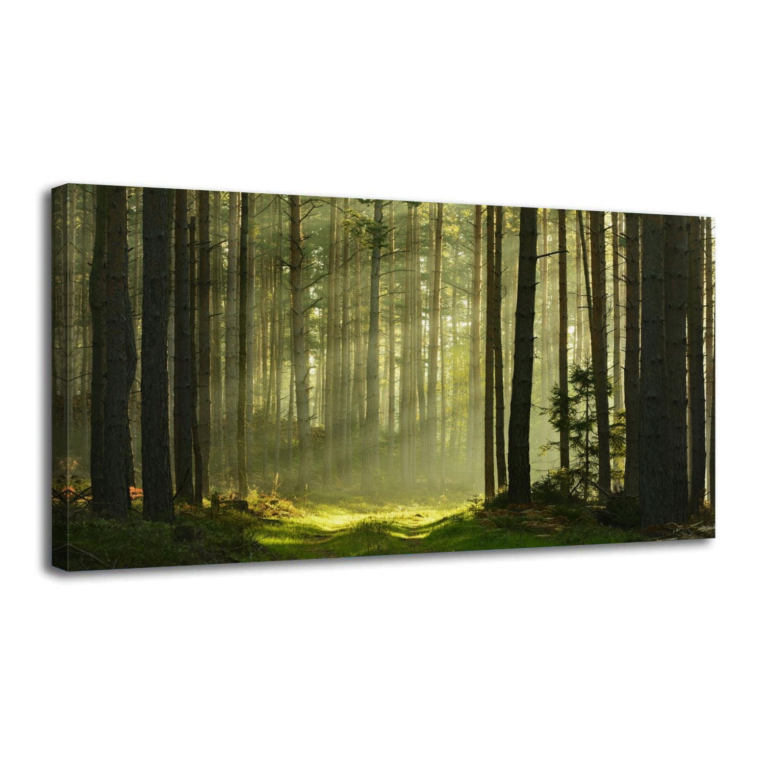 Canvas Wall Art Sunbeams breaking Pine Tree Forest Sunrise Wall Decor ...