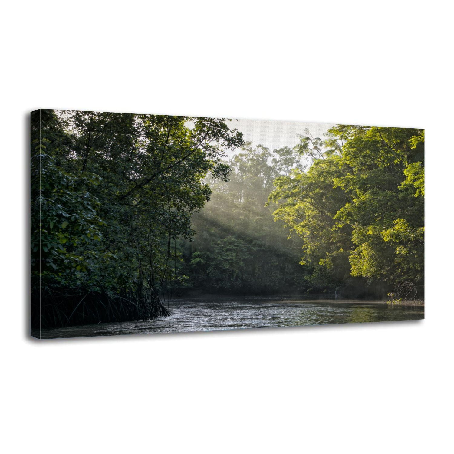 Canvas Wall Art Sunlight shining trees river Amazon rainforest Wall ...