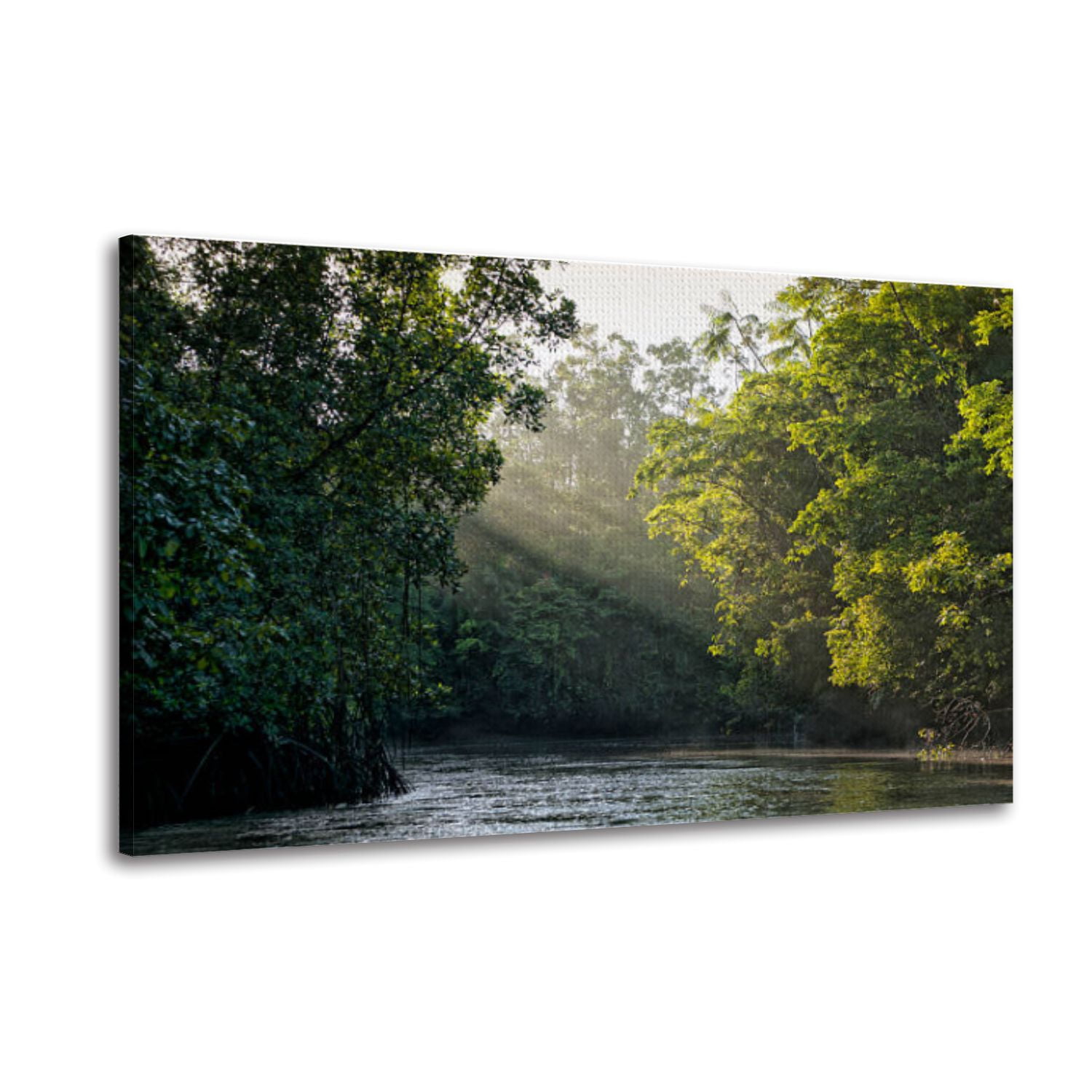 Canvas Wall Art Sunlight shining trees river Amazon rainforest Wall ...