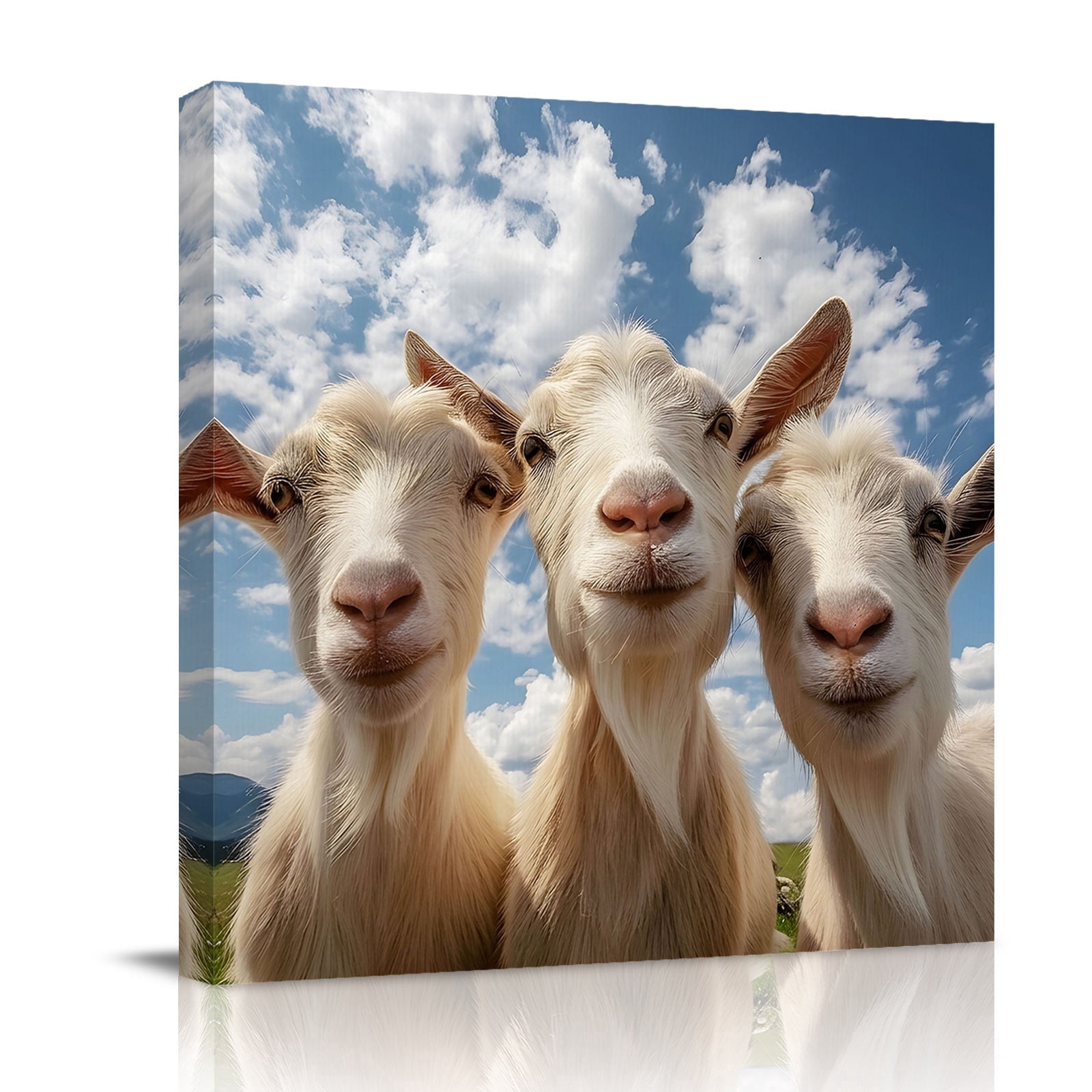 Canvas Wall Art Sunny Sheep Canvas Art Print Blue Sky Rustic Country ...
