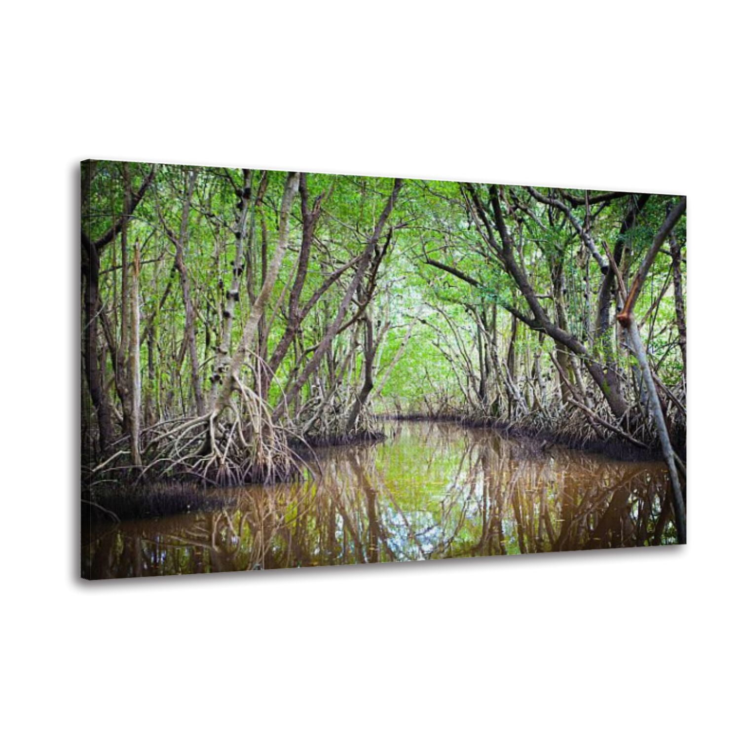 Canvas Wall Art Swamp Wetland Mangrove Landscape Everglades National ...