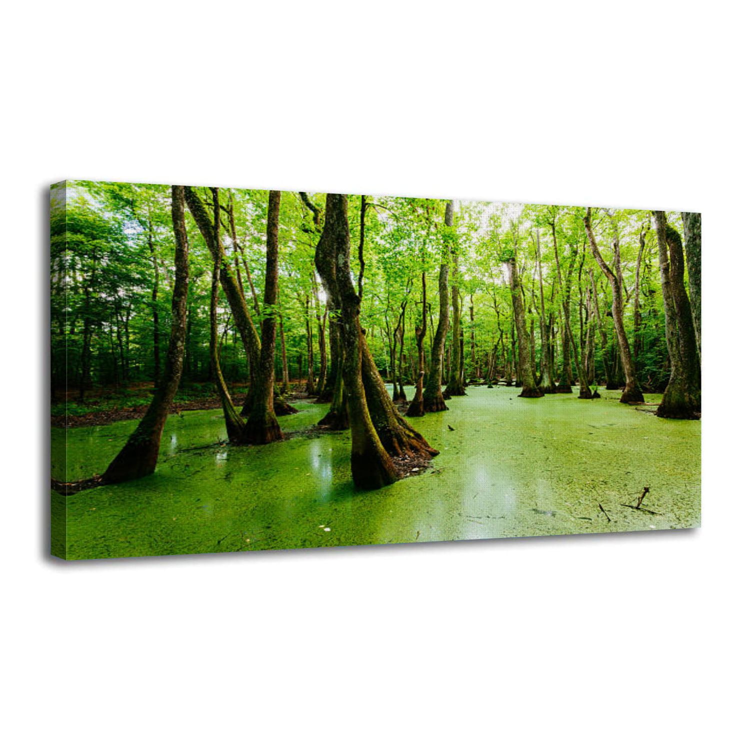 Canvas Wall Art Swamps Wall Decor for Living Room Bathroom Bedroom ...