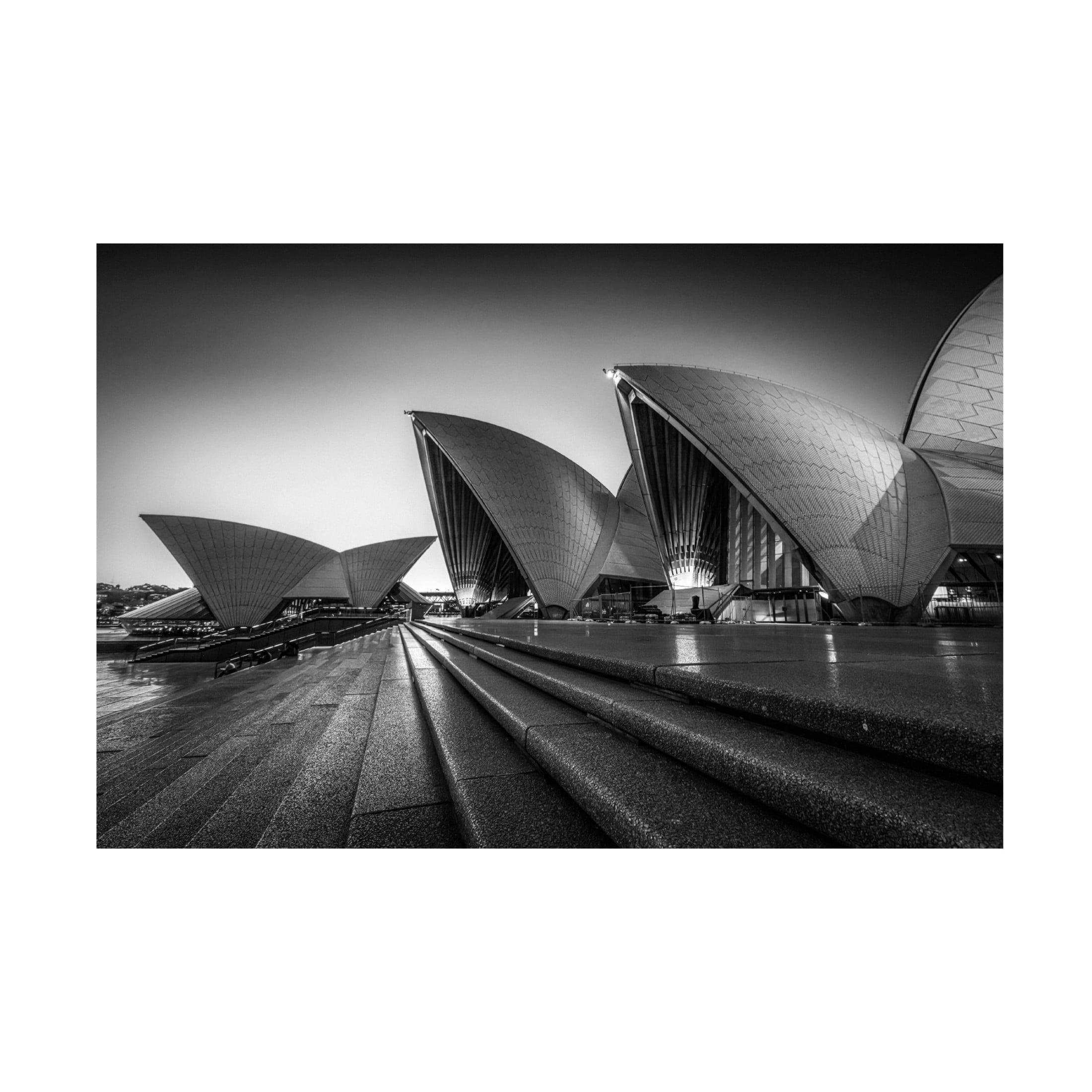 Canvas Wall Art - Tim Fan 'In Silhouette' Wall Art for Living Room ...