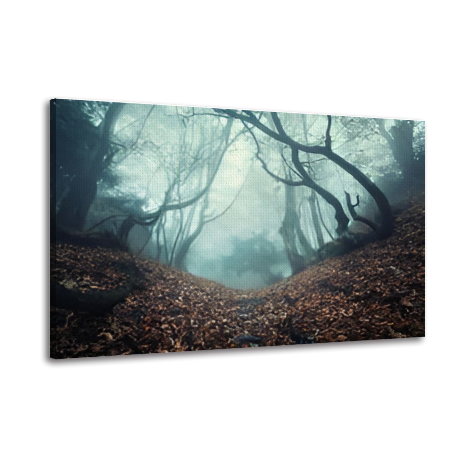 Canvas Wall Art Trail mysterious dark old forest Autumn Crimea Magical ...