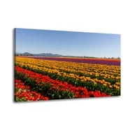 Salvador Dali Wall Art Dalí Morphological-Echo Surrealist Framed ...