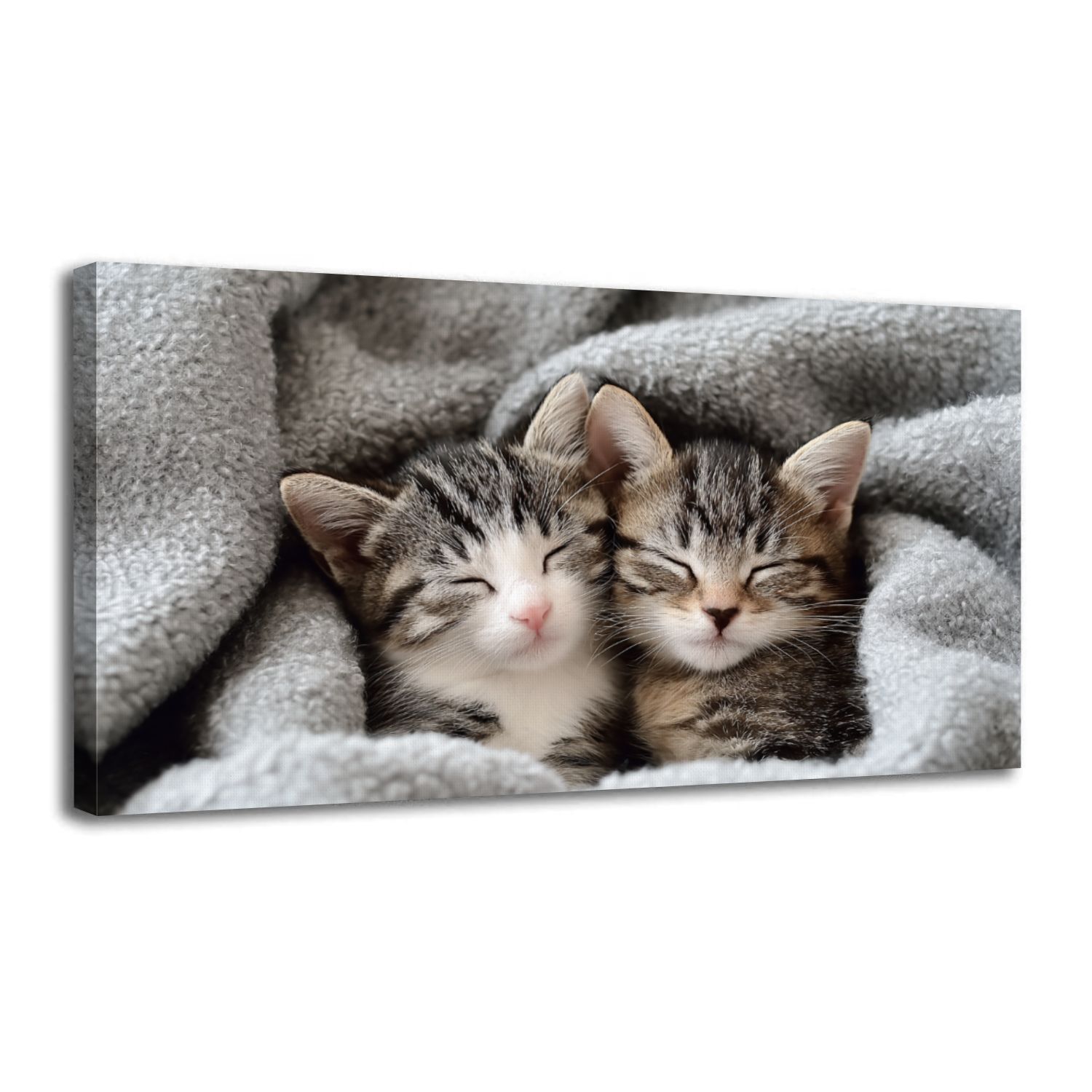 Canvas Wall Art Two little kittens sleep their eyes closed covered ...