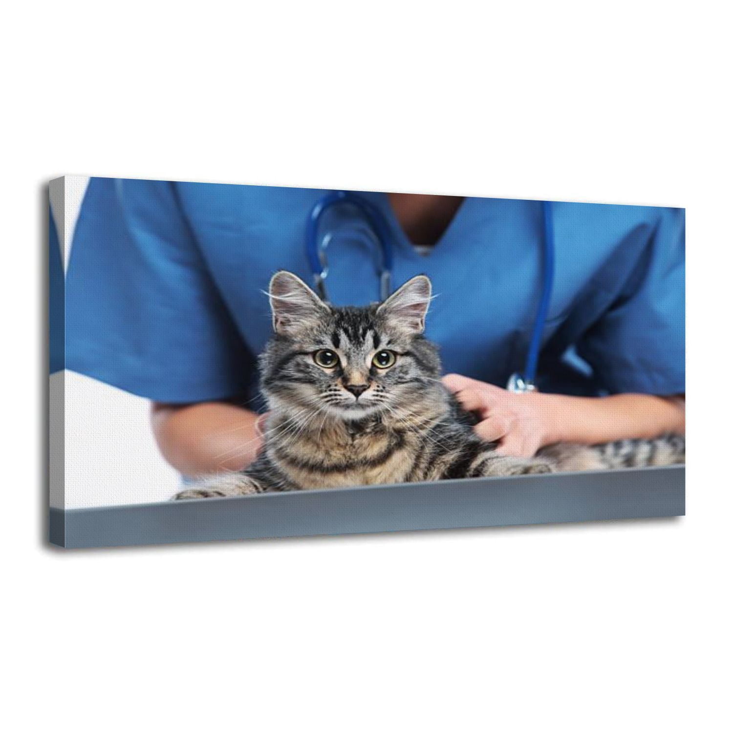 Canvas Wall Art Veterinary caring cute cat Wall Decor for Living Room ...