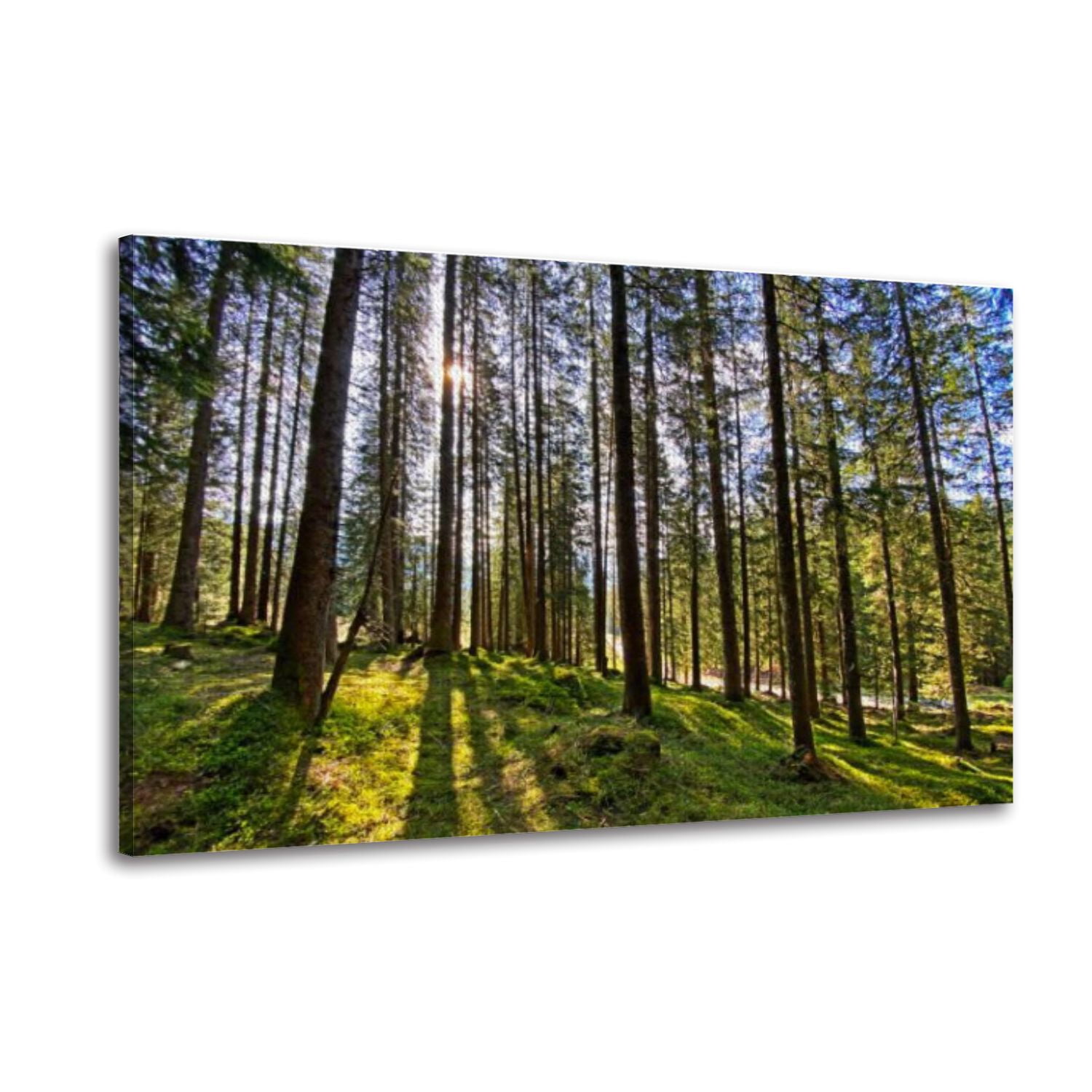 Canvas Wall Art View sky sun trees alpine forests slopes Pilatus ...