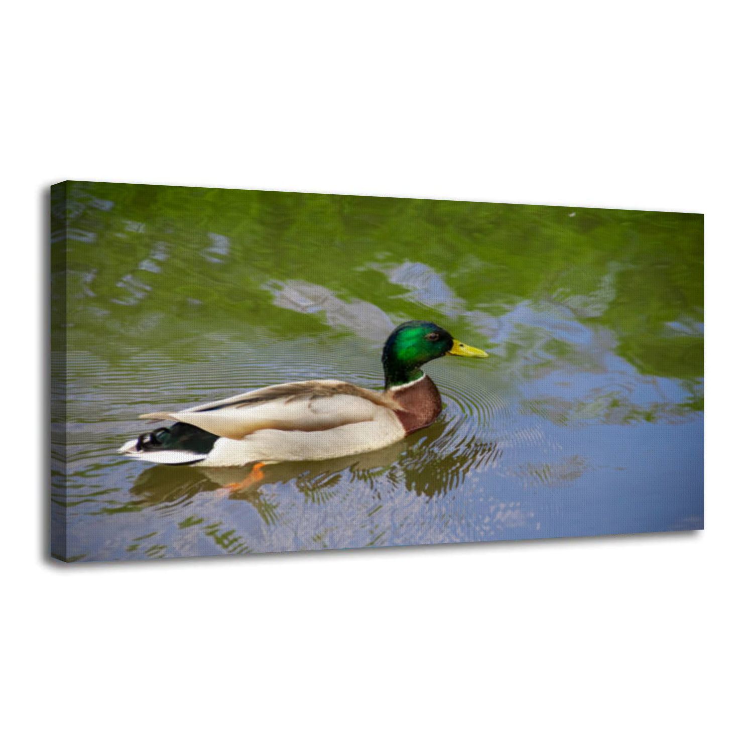 Canvas Wall Art Waterfowl environment Wall Decor for Living Room ...