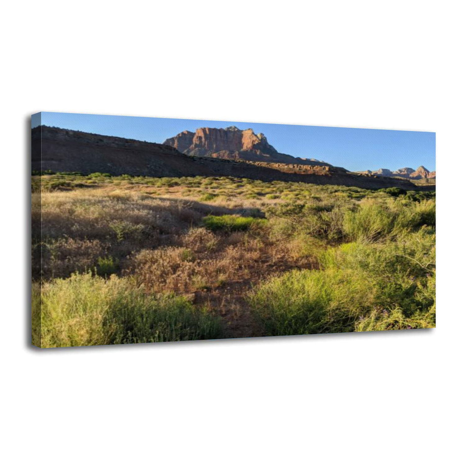 Canvas Wall Art Wildflowers sagebrush bloom spring South Mesa below Mt ...