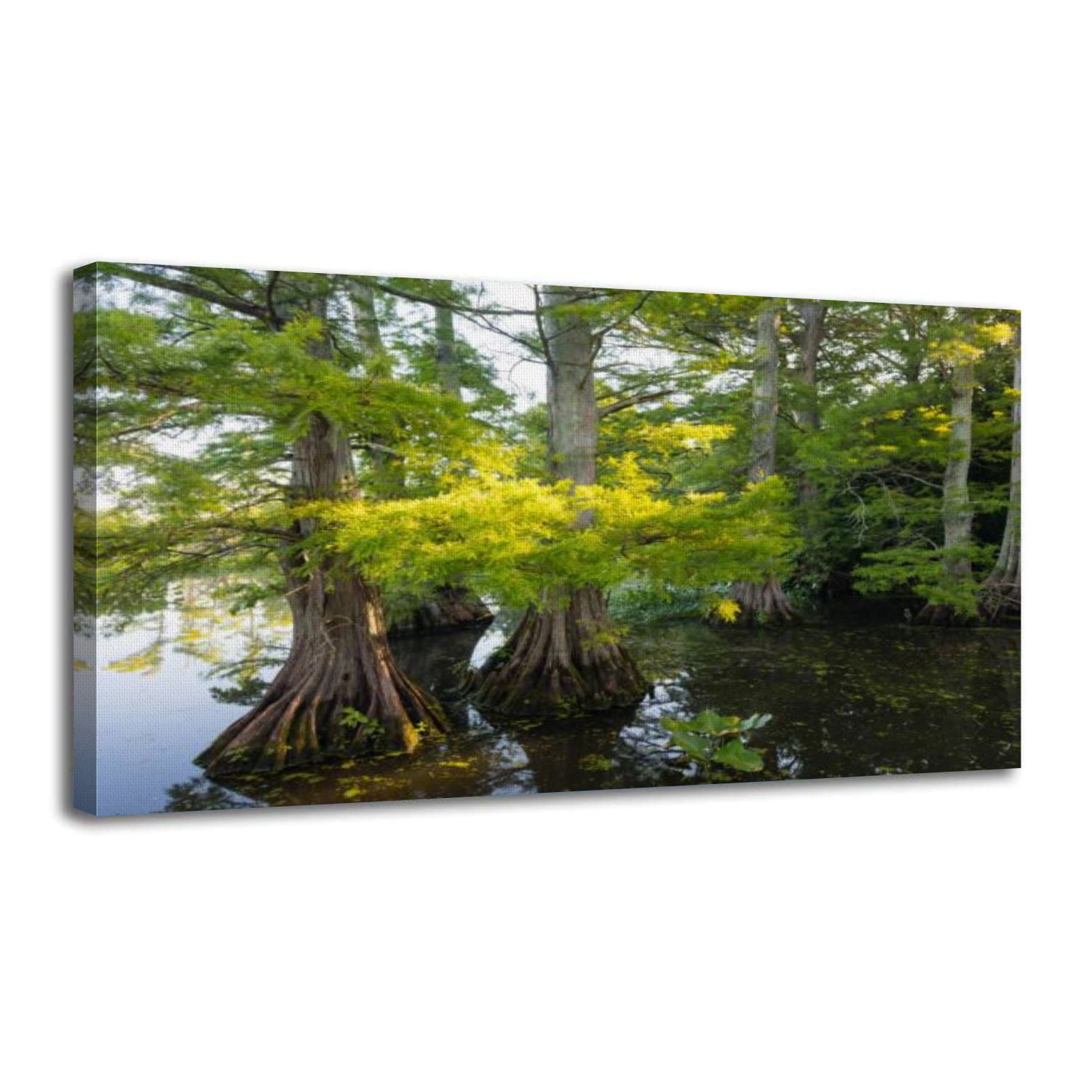 Canvas Wall Art bald cypress reelfoot lake cypress tree swamp pictures ...