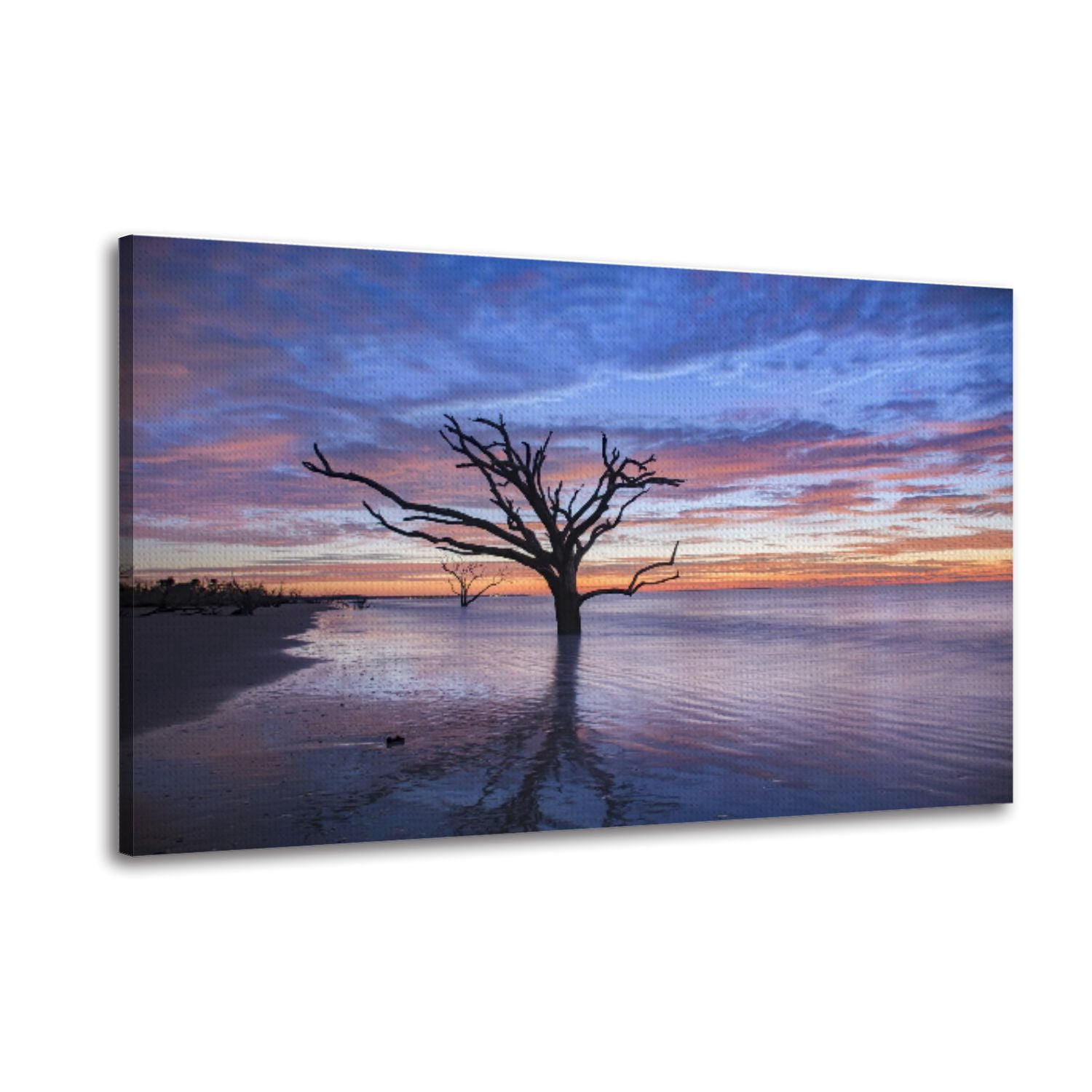 Canvas Wall Art bone yard sunrise botany bay beach edisto island tree ...