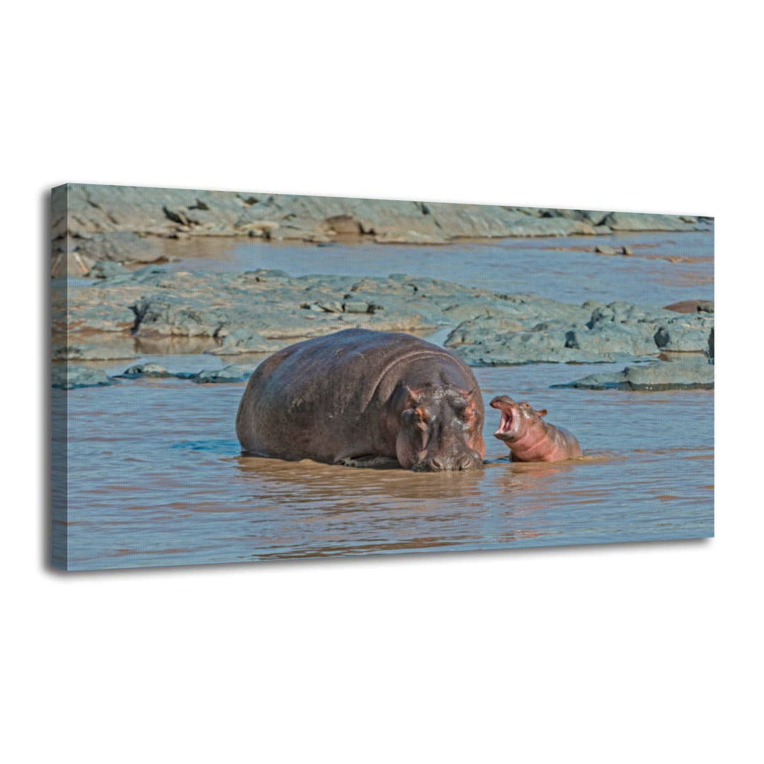 Canvas Wall Art common hippopotamus Hippopotamus amphibius hippo is ...