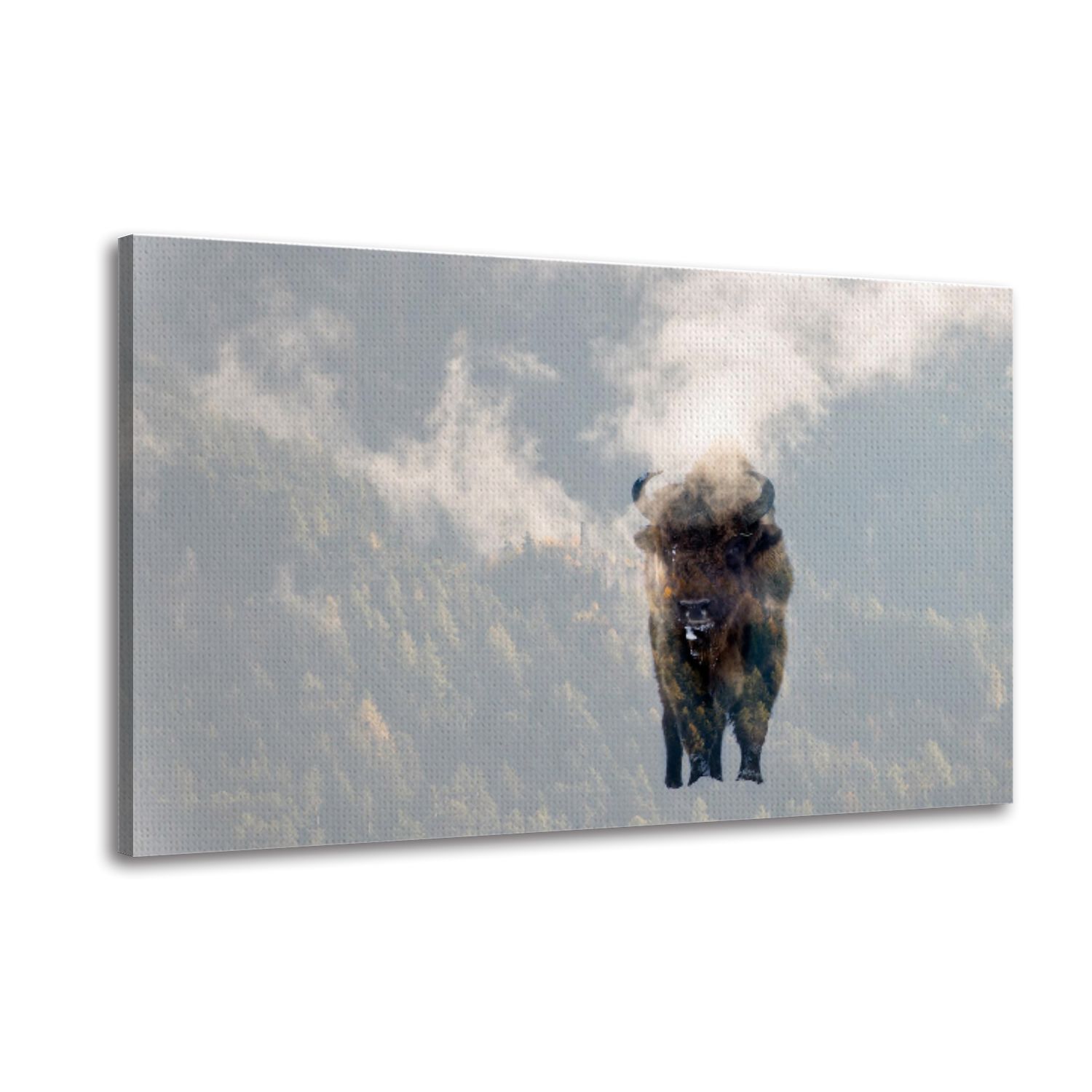 Canvas Wall Art exposure wild bison buffalo pine forest Wall Decor for ...