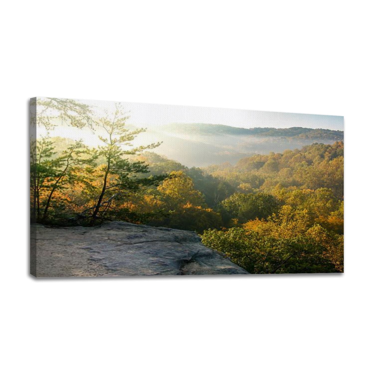 Canvas Wall Art fall foliage hocking hills forest dawns pictures Wall ...
