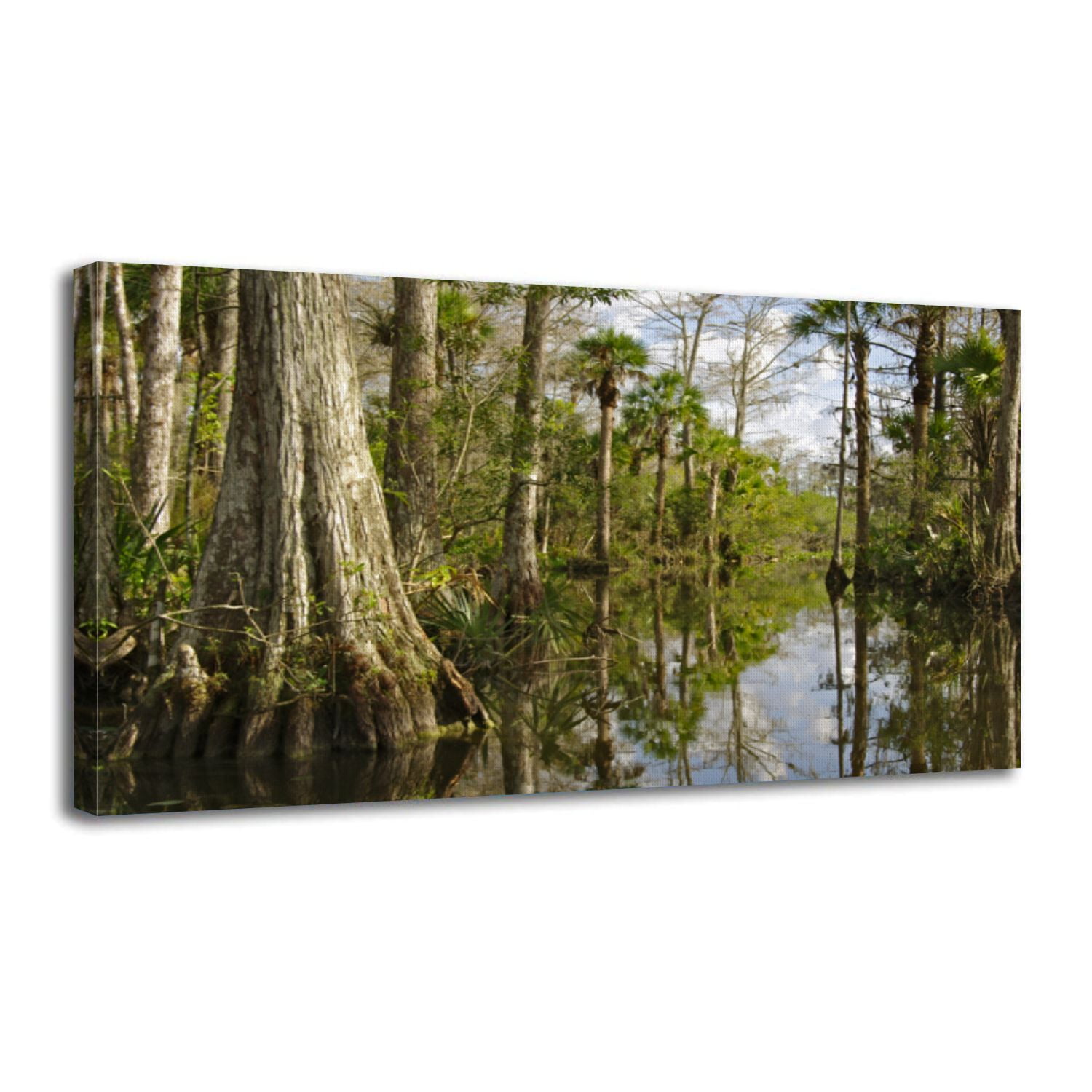 Canvas Wall Art florida everglades cypress tree swamp pictures royalty ...
