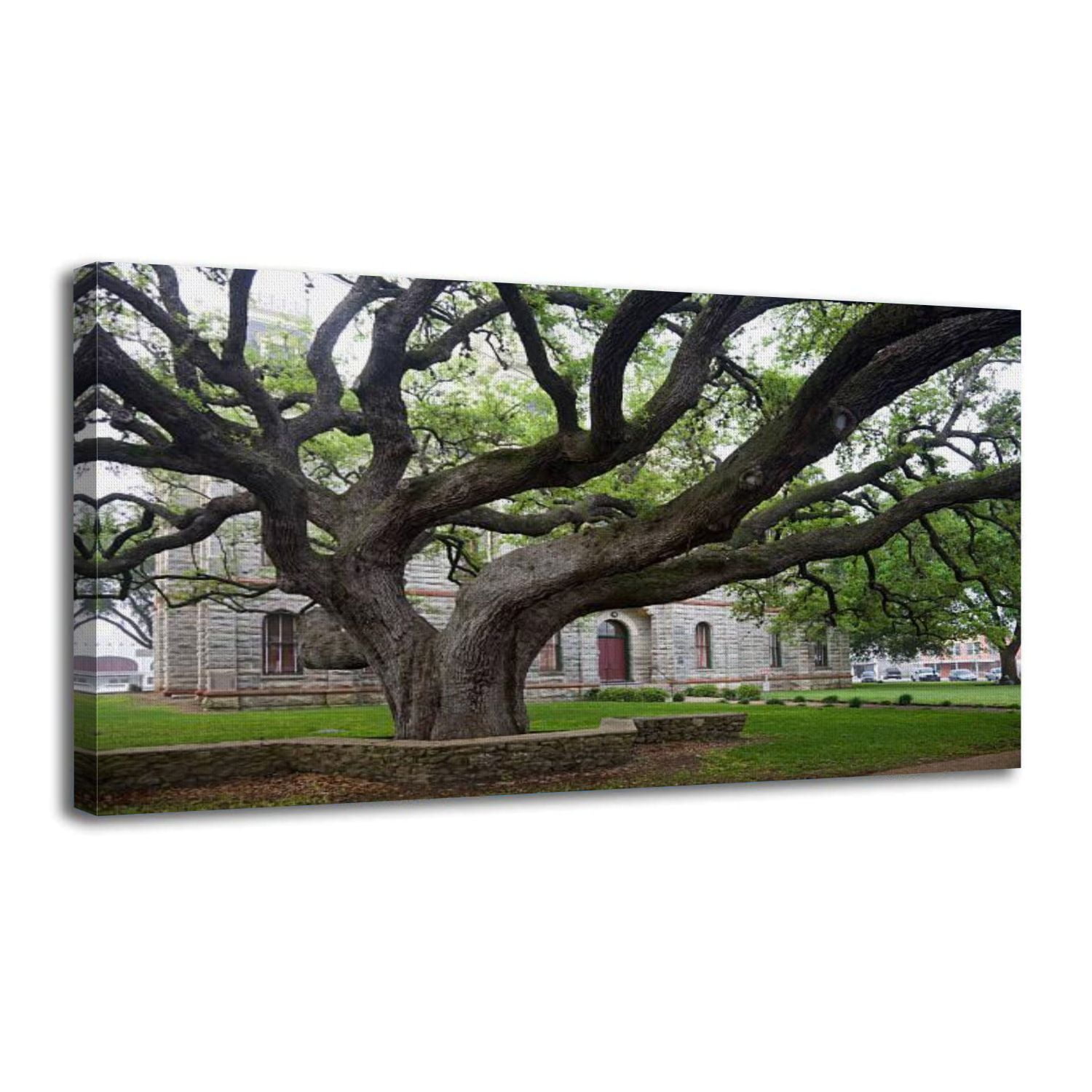 Canvas Wall Art hanging tree front goliad county texas courthouse ...