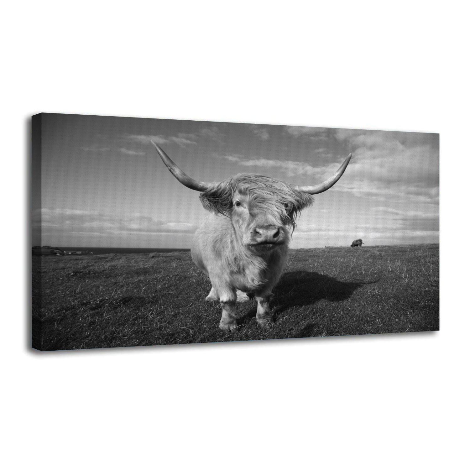 Canvas Wall Art highland cow scotland highland cows pictures Wall Decor ...