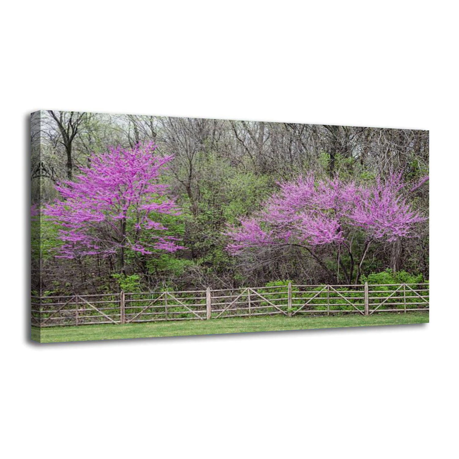 Canvas Wall Art redbud trees fence purple stone pictures royalty free ...