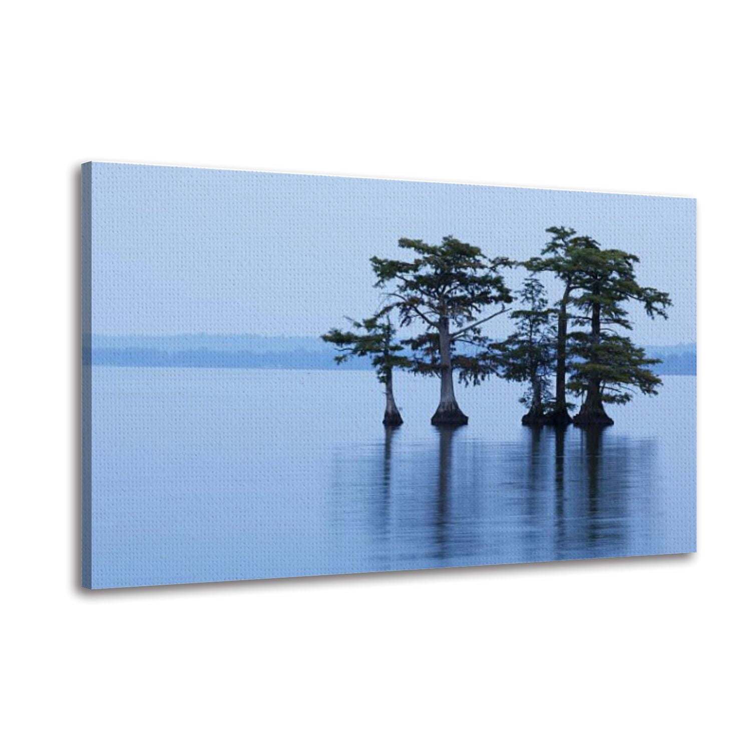 Canvas Wall Art reelfoot lake trees water cypress trees pictures Wall ...