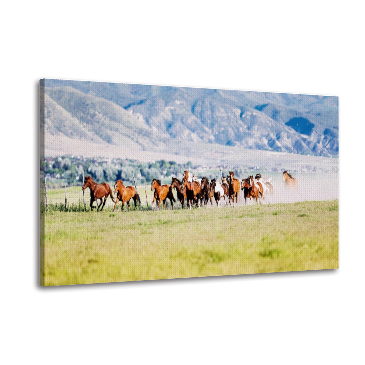 Canvas Wall Art running wild horses horse run pictures royalty free ...