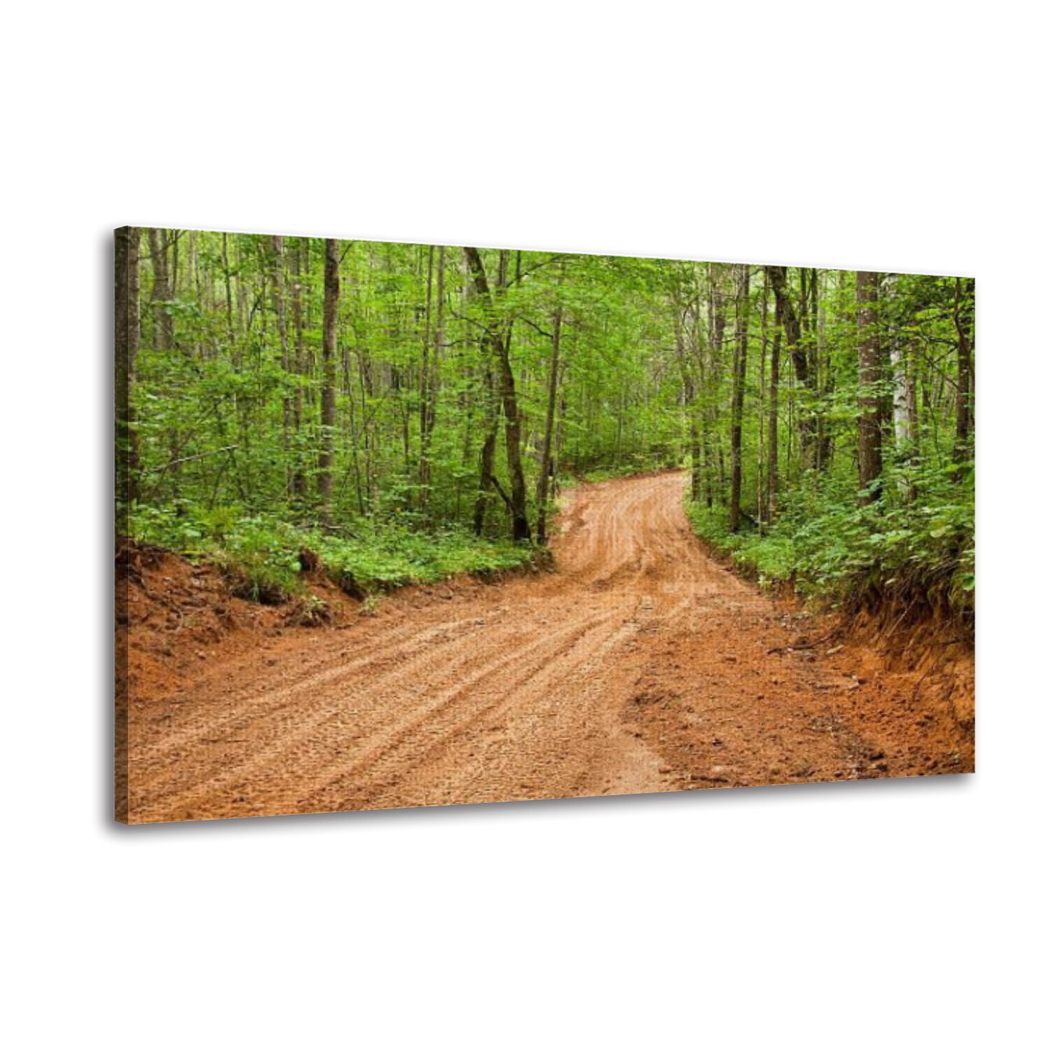 Canvas Wall Art sandy road off road pictures royalty photos Wall Decor ...