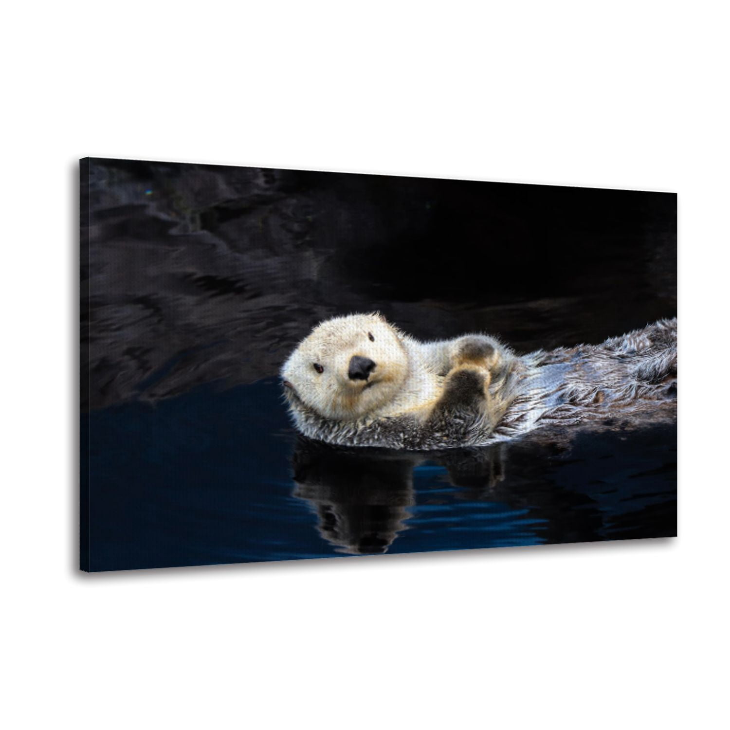Canvas Wall Art sea otter floating water cute wilds pictures Wall Decor ...