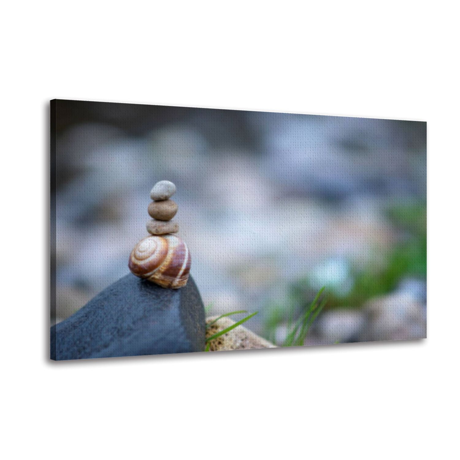 Canvas Wall Art snail Wall Decor for Living Room Bathroom Bedroom ...