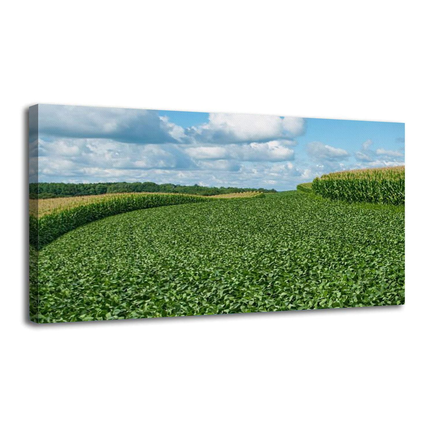 Canvas Wall Art soybean corn crops wisconsin landscape pictures royalty ...