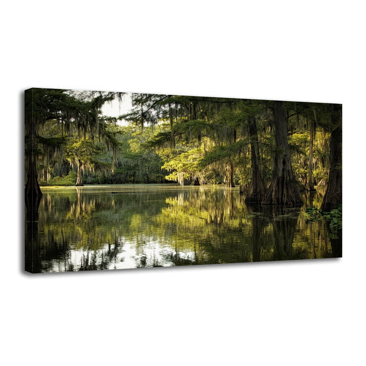 Canvas Wall Art swamp days pictures Wall Decor for Living Room Bathroom ...