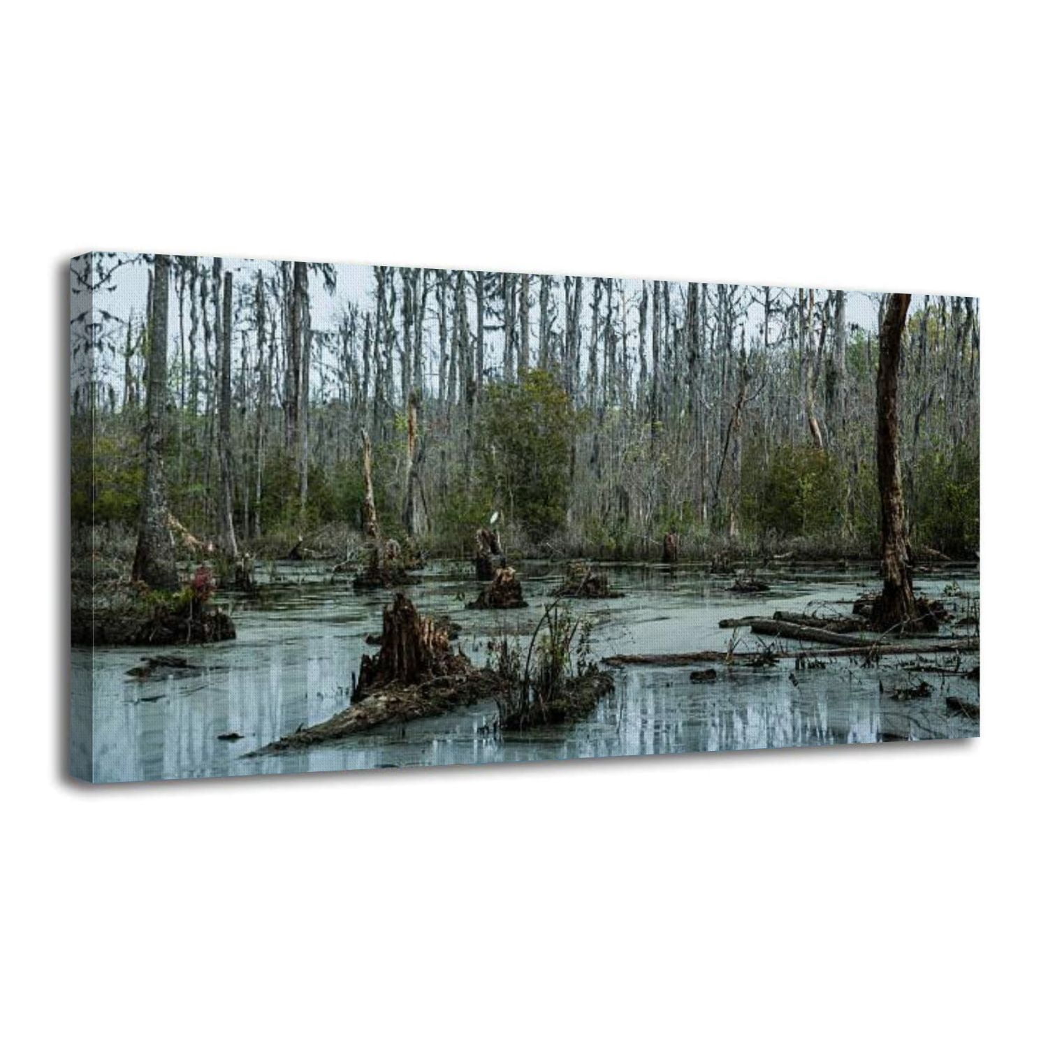 Canvas Wall Art swamp south cypress tree swamp pictures royalty Wall ...