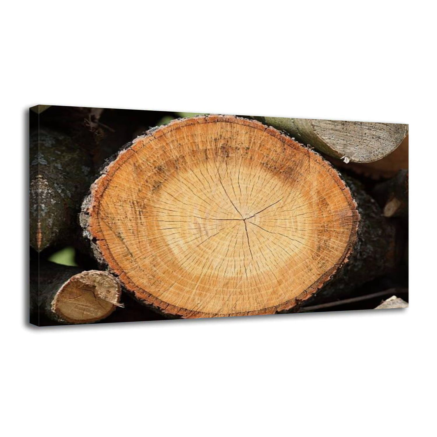 Canvas Wall Art tree pane annual rings growth rings pictures Wall Decor ...