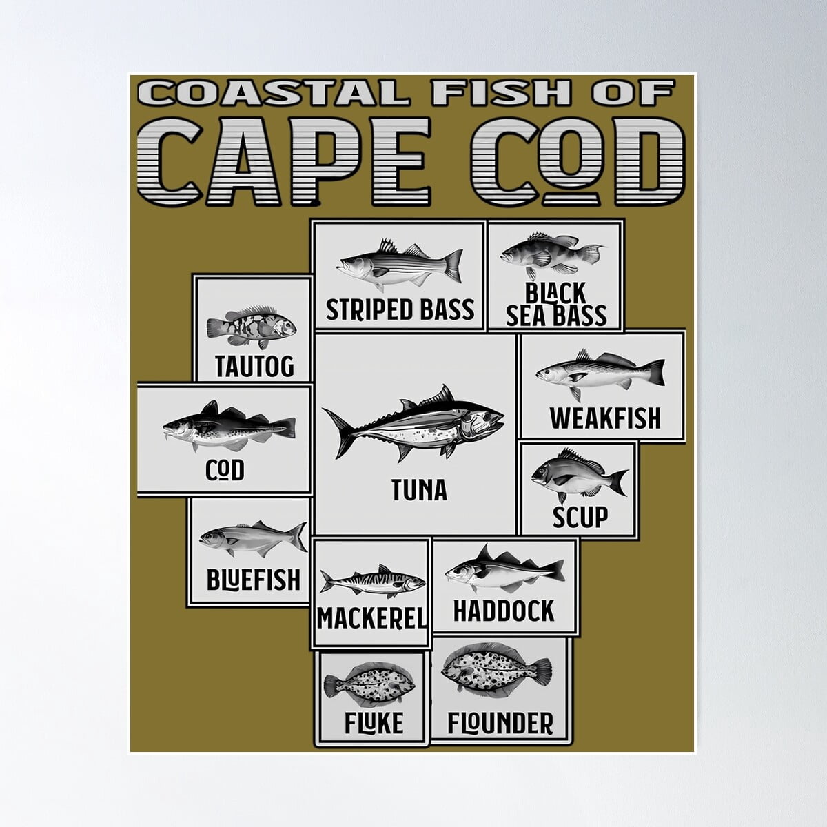 Cape Cod Fishing Souvenir Coastal Fish Of Cape Cod Poster Wall Art ...