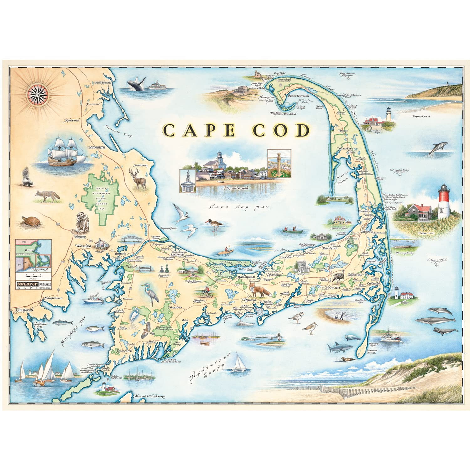 Cape Cod Hand-Drawn Map Poster - Authentic 24x18 Inch Vintage-Style ...