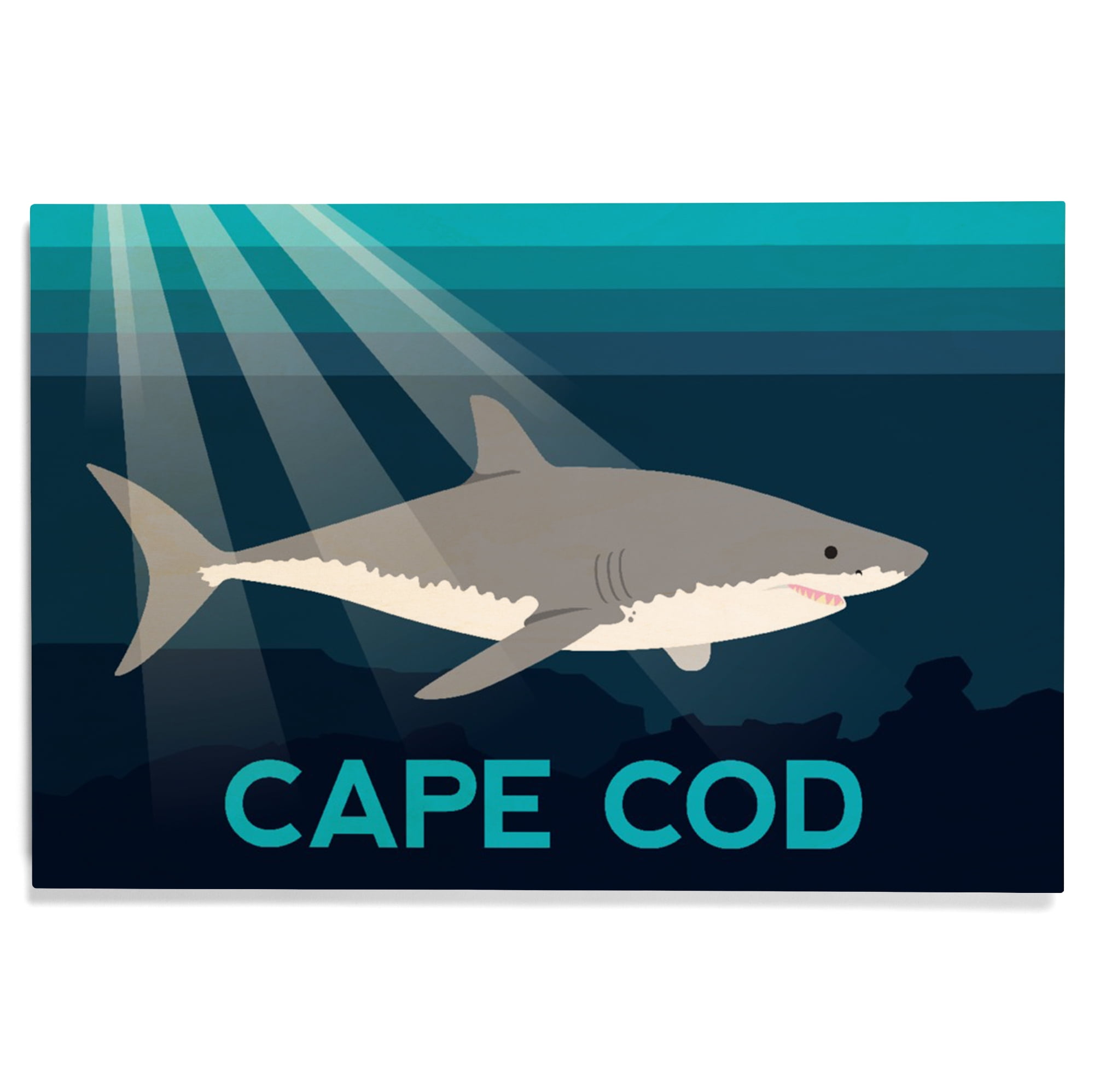 Cape Cod, Massachusetts, Great White Shark, Vector Style Birch Wood ...