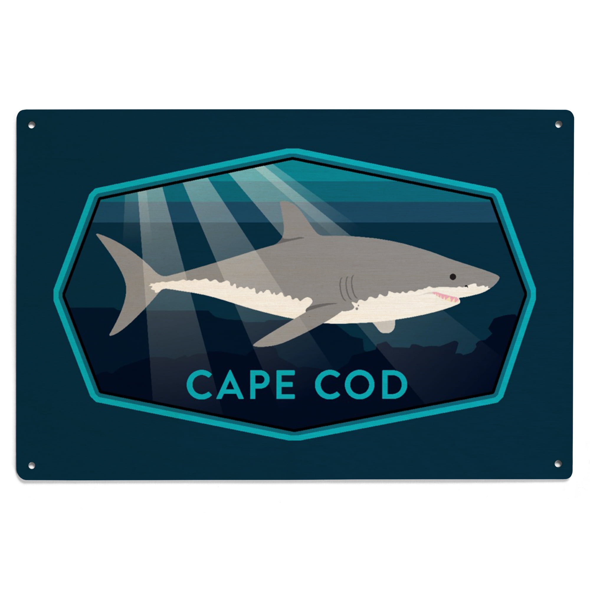 Cape Cod, Massachusetts, Great White Shark, Vector Style, Contour Birch ...