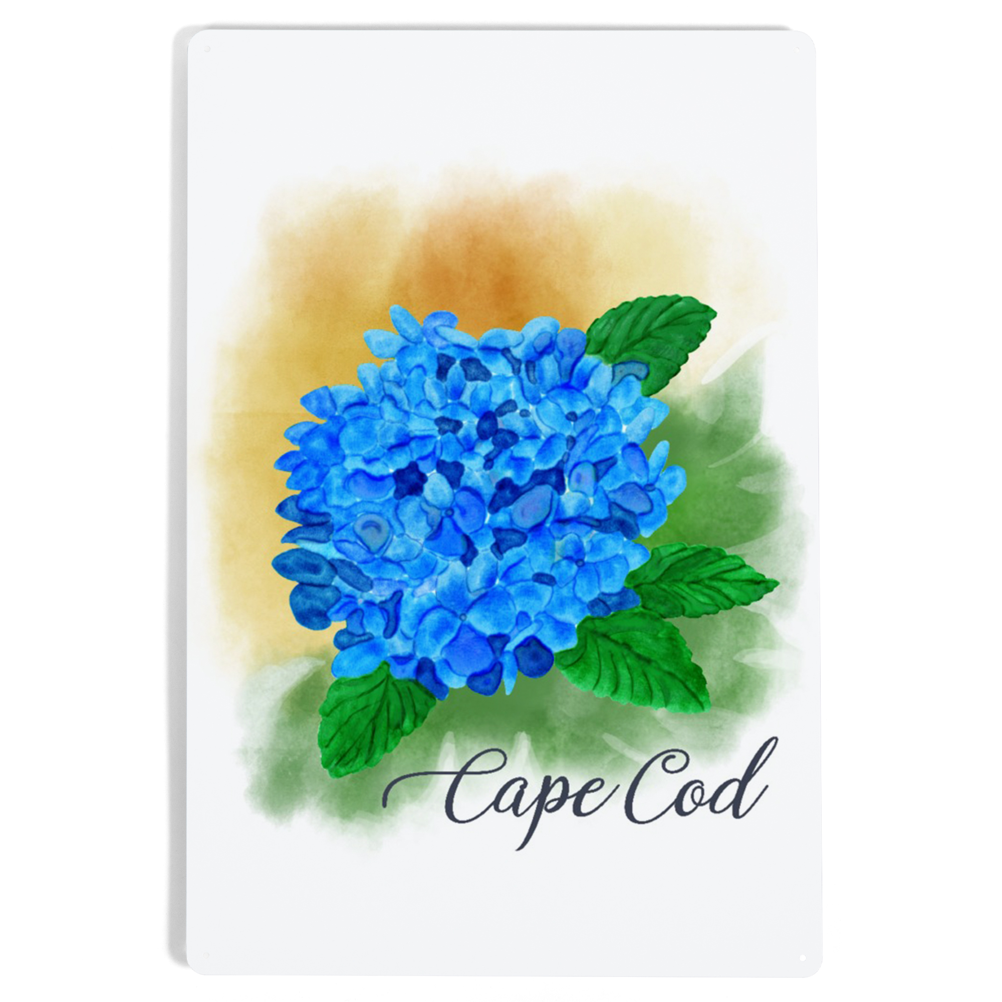 Cape Cod, Massachusetts, Hydrangea, Watercolor (12x18 Aluminum Art ...