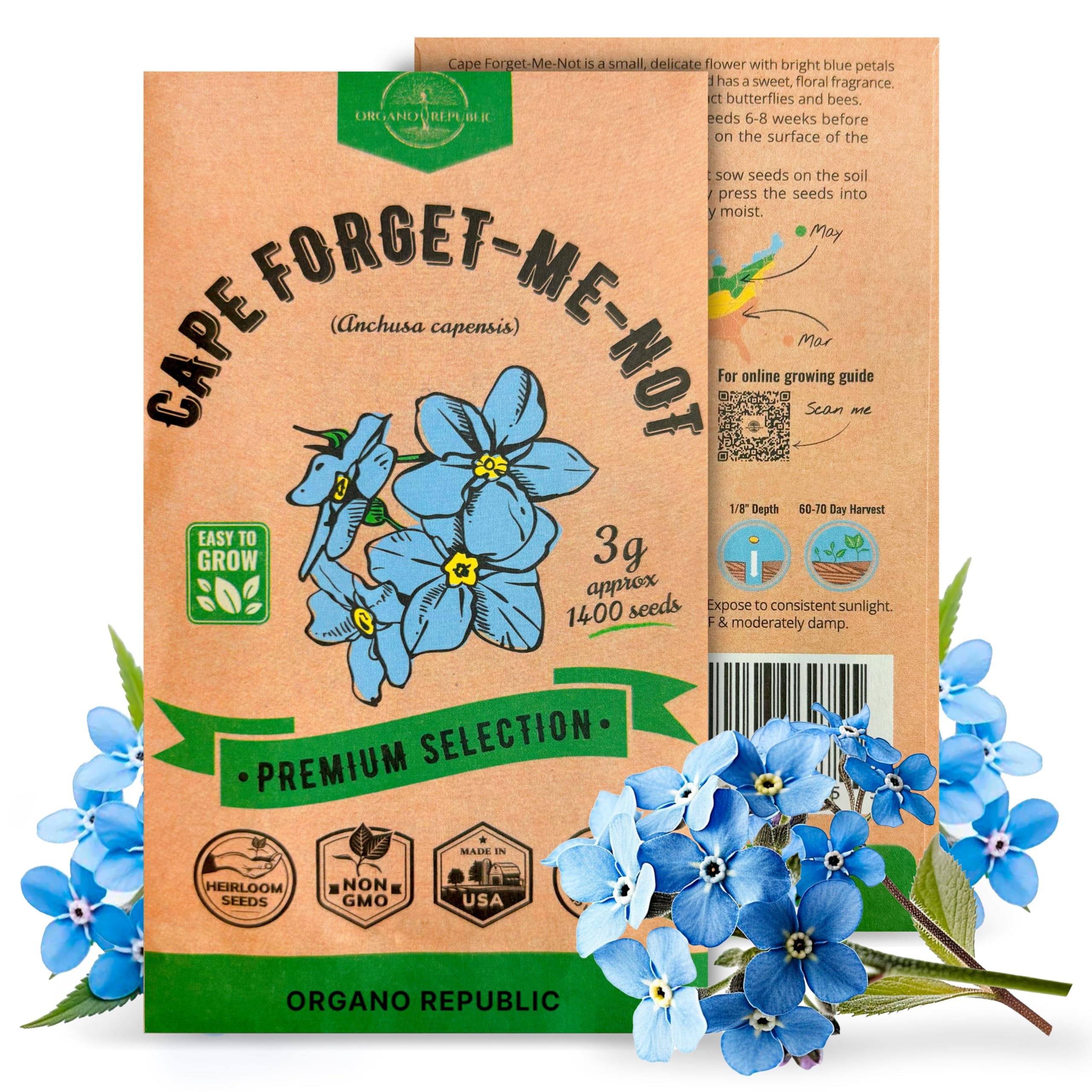 Cape Forget-Me-Not Seeds Pack 3G - Over MHD11,400 Non-GMO Cape Forget ...