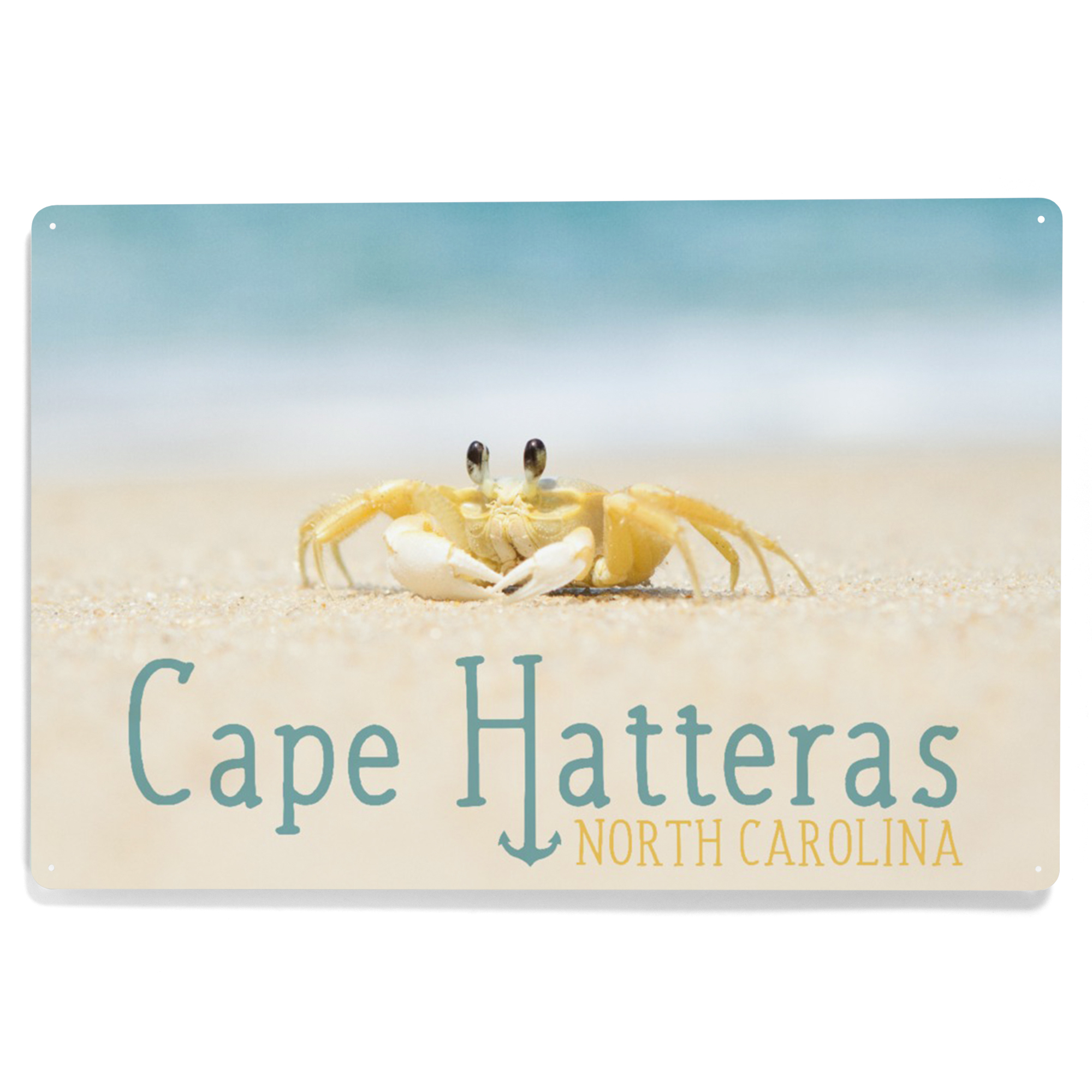 Cape Hatteras, North Carolina, Crab on Beach (12x18 Aluminum Art ...