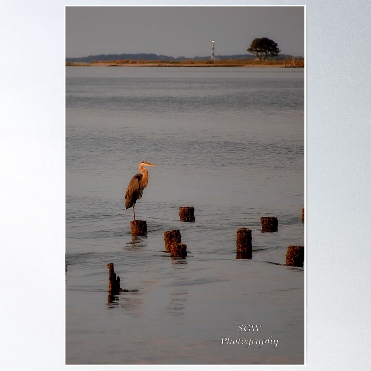 Cape Lookout Poster Wall Art, Modern Wall Decor For Living Room Bedroom ...