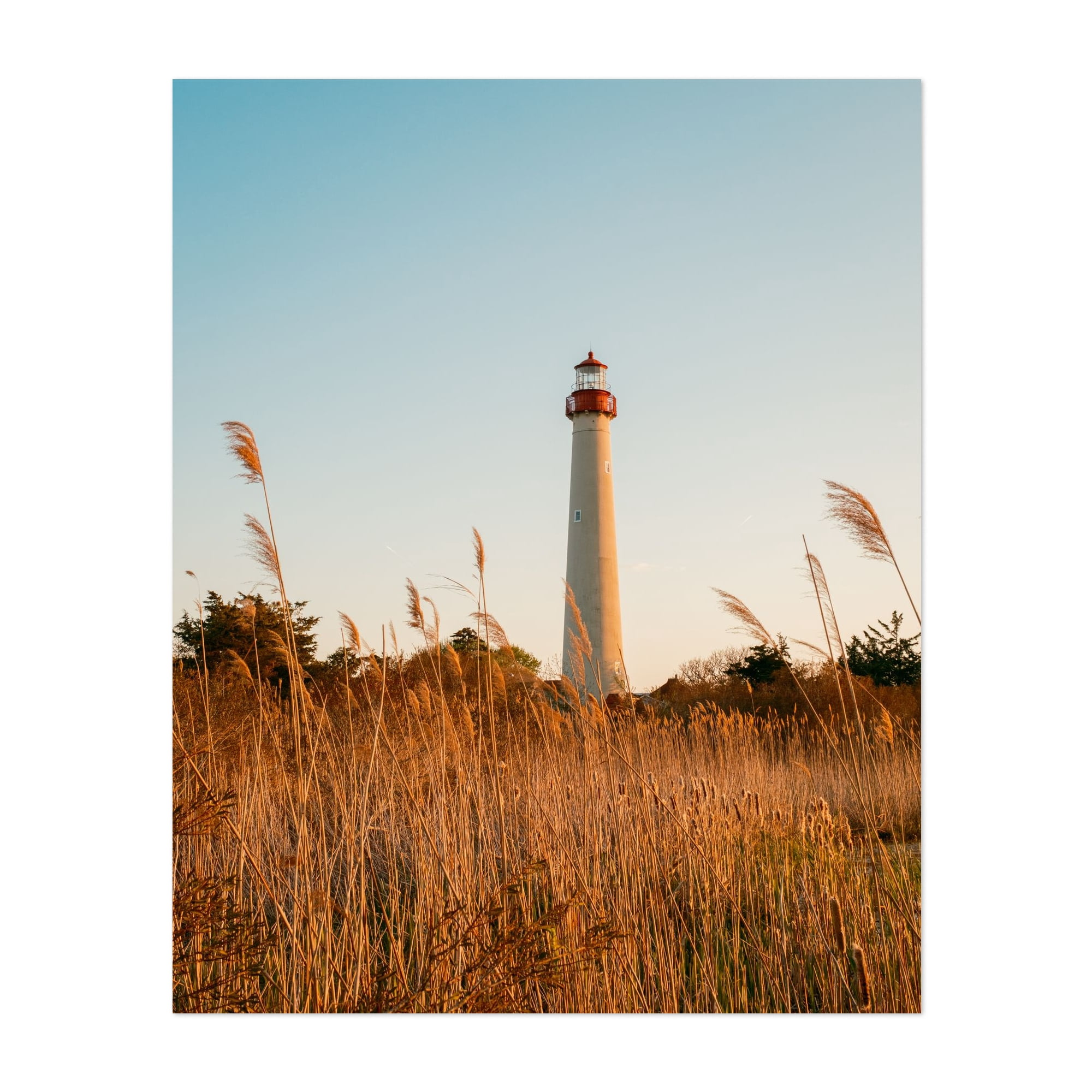 Cape May Lighthouse 04 - Cape May New Jersey Photography Lighthouse ...