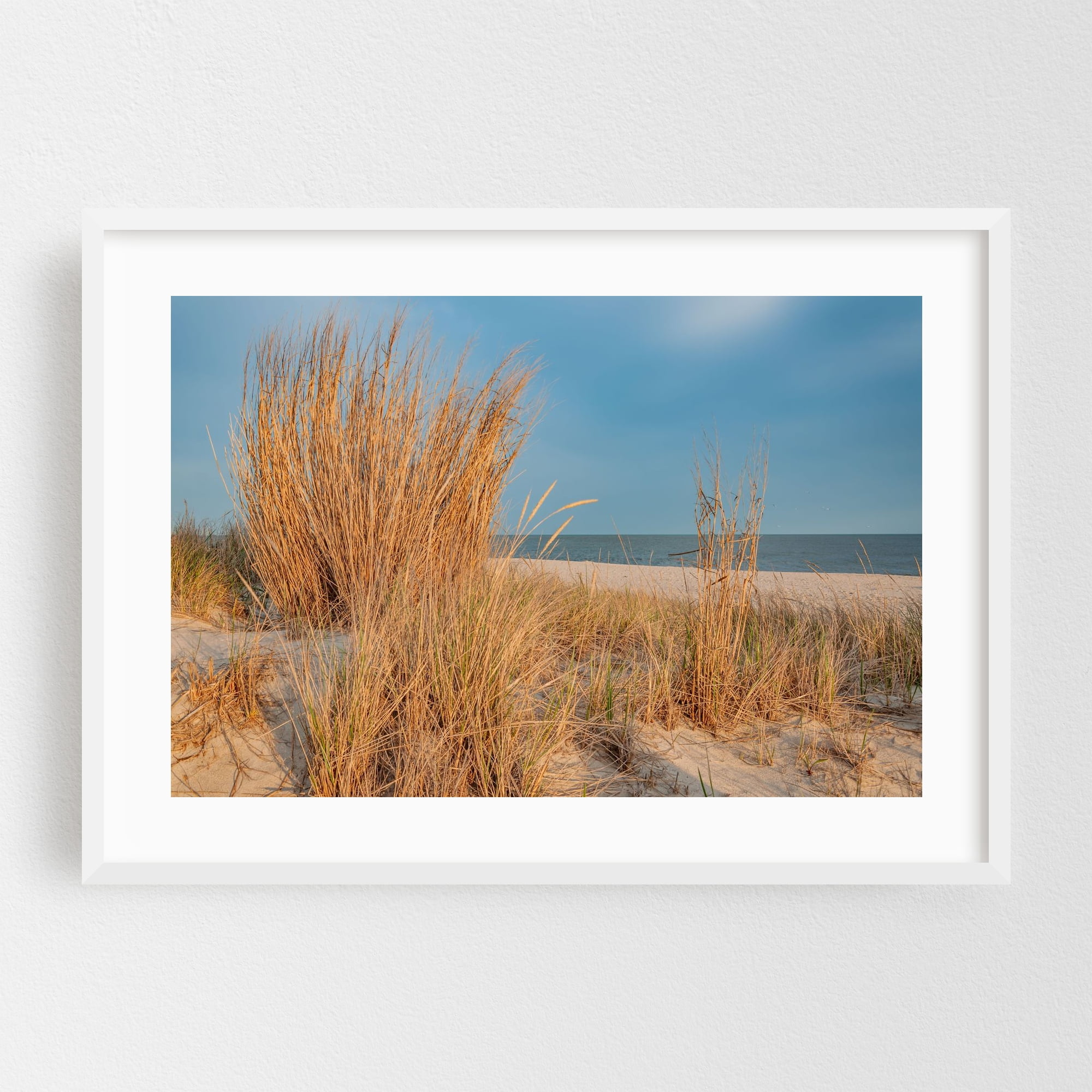 Cape May's Dunes at the Golden Hour, New Jersey - Cape May New Jersey ...